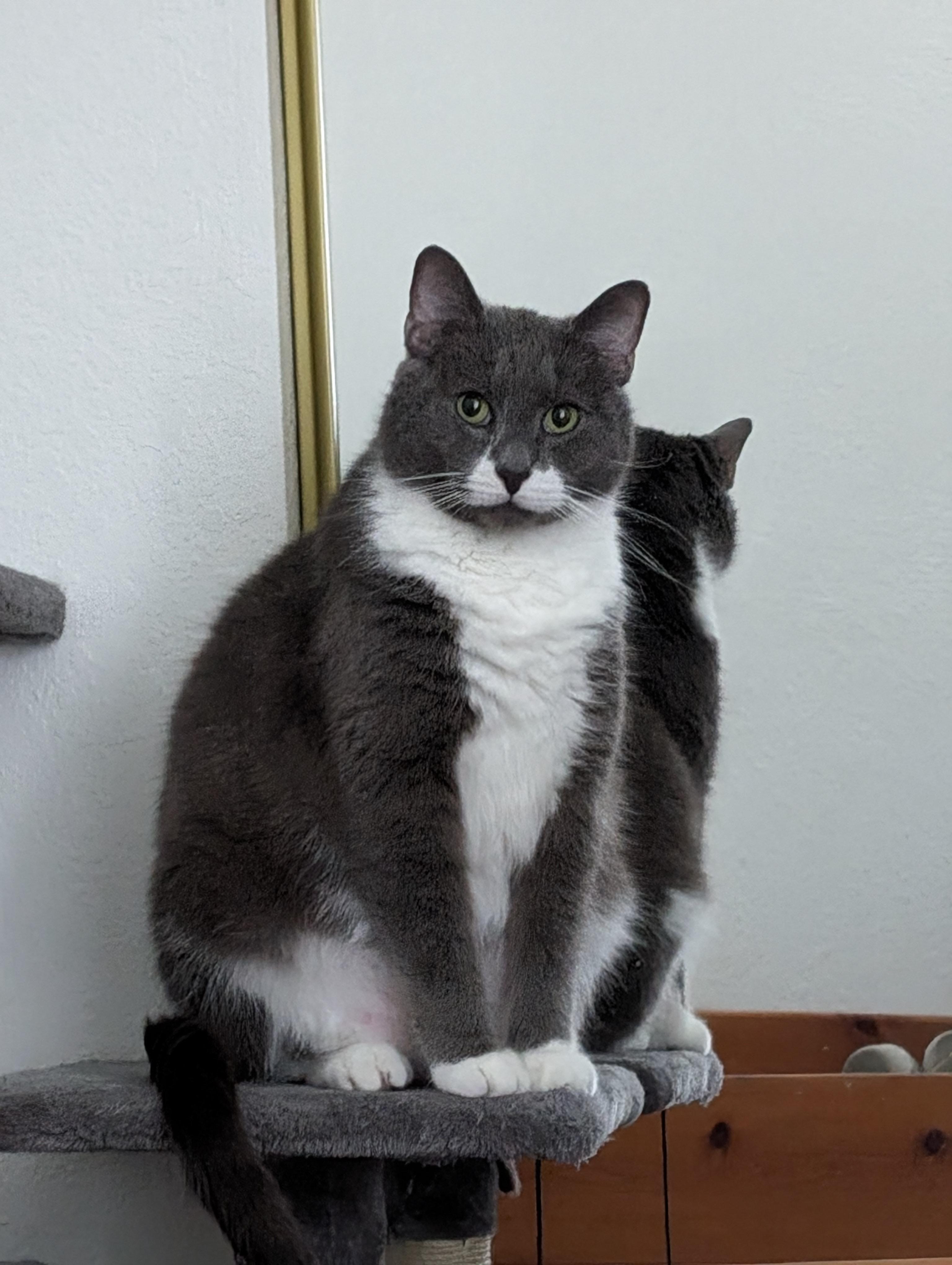 Forgot His Tux | Scrolller