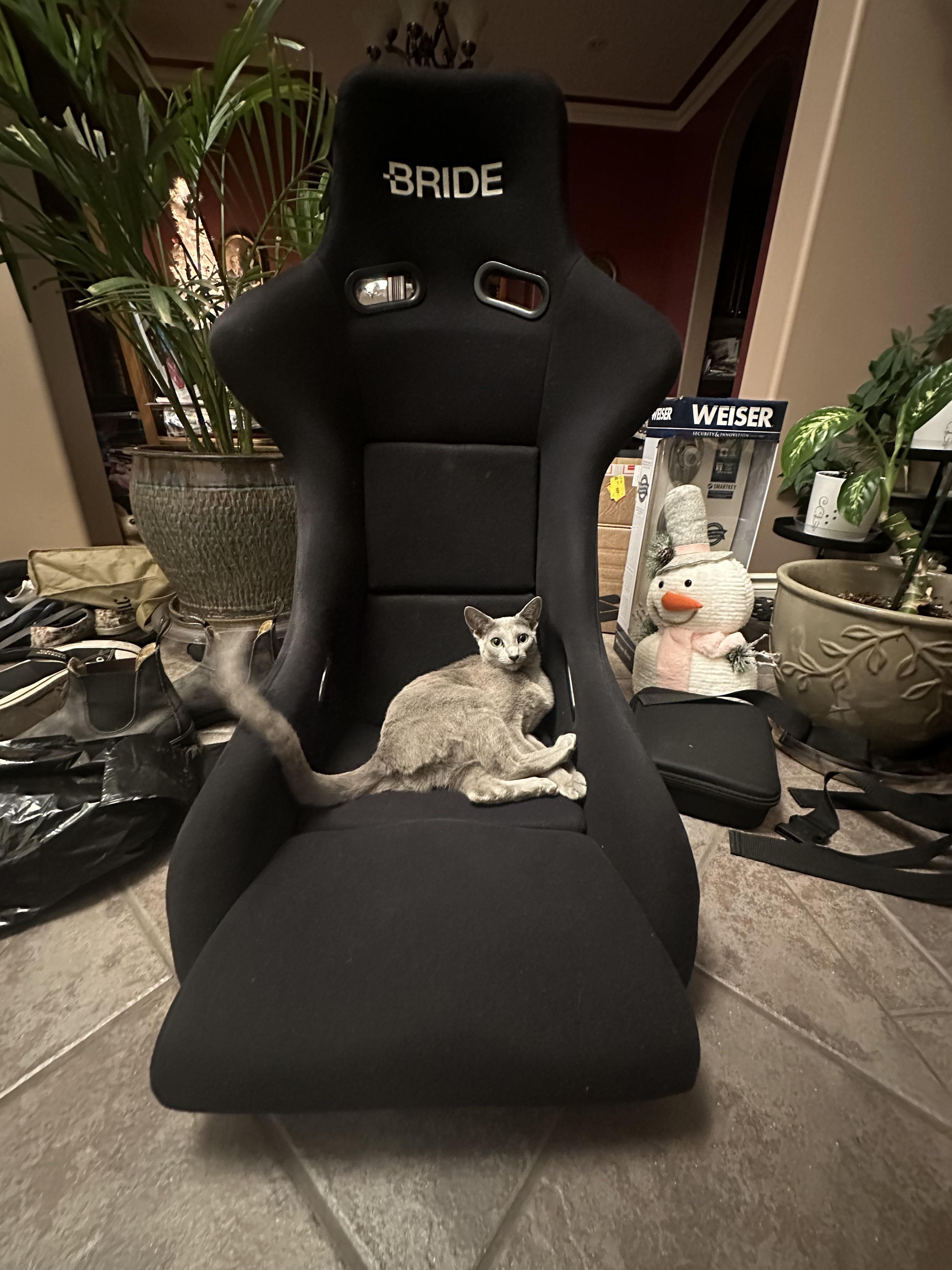 Authentic Bride Zeta II | Scrolller