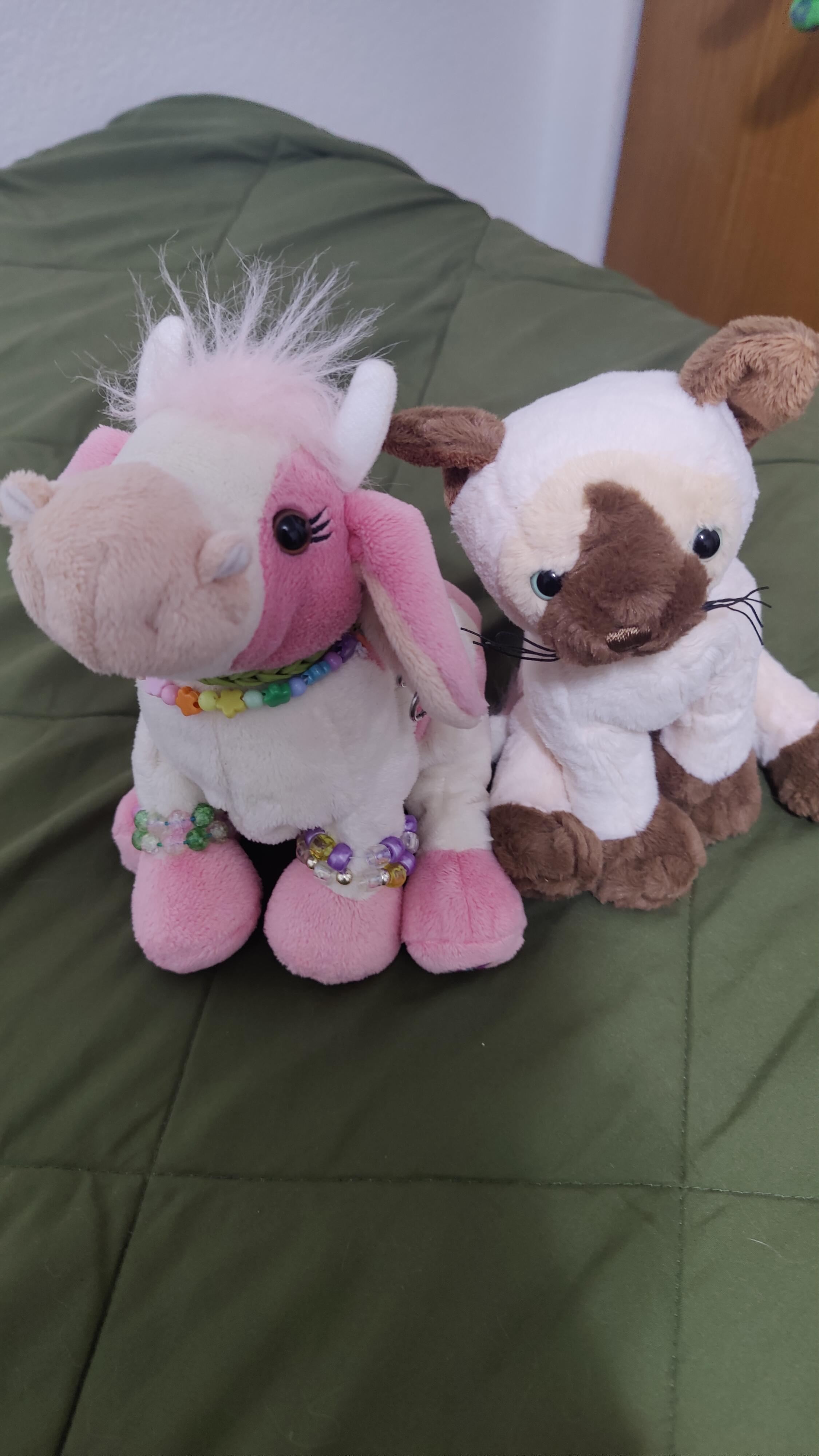 My webkinz collection and the two I got for my birthday today! | Scrolller