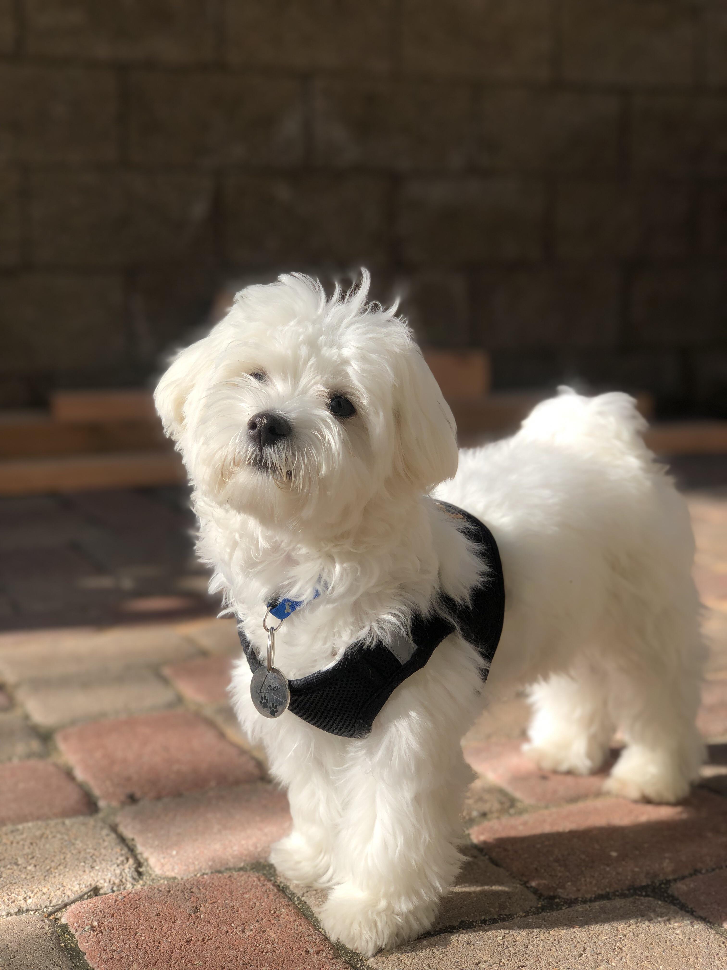 Pose, Leo, pose! 📸 | Scrolller