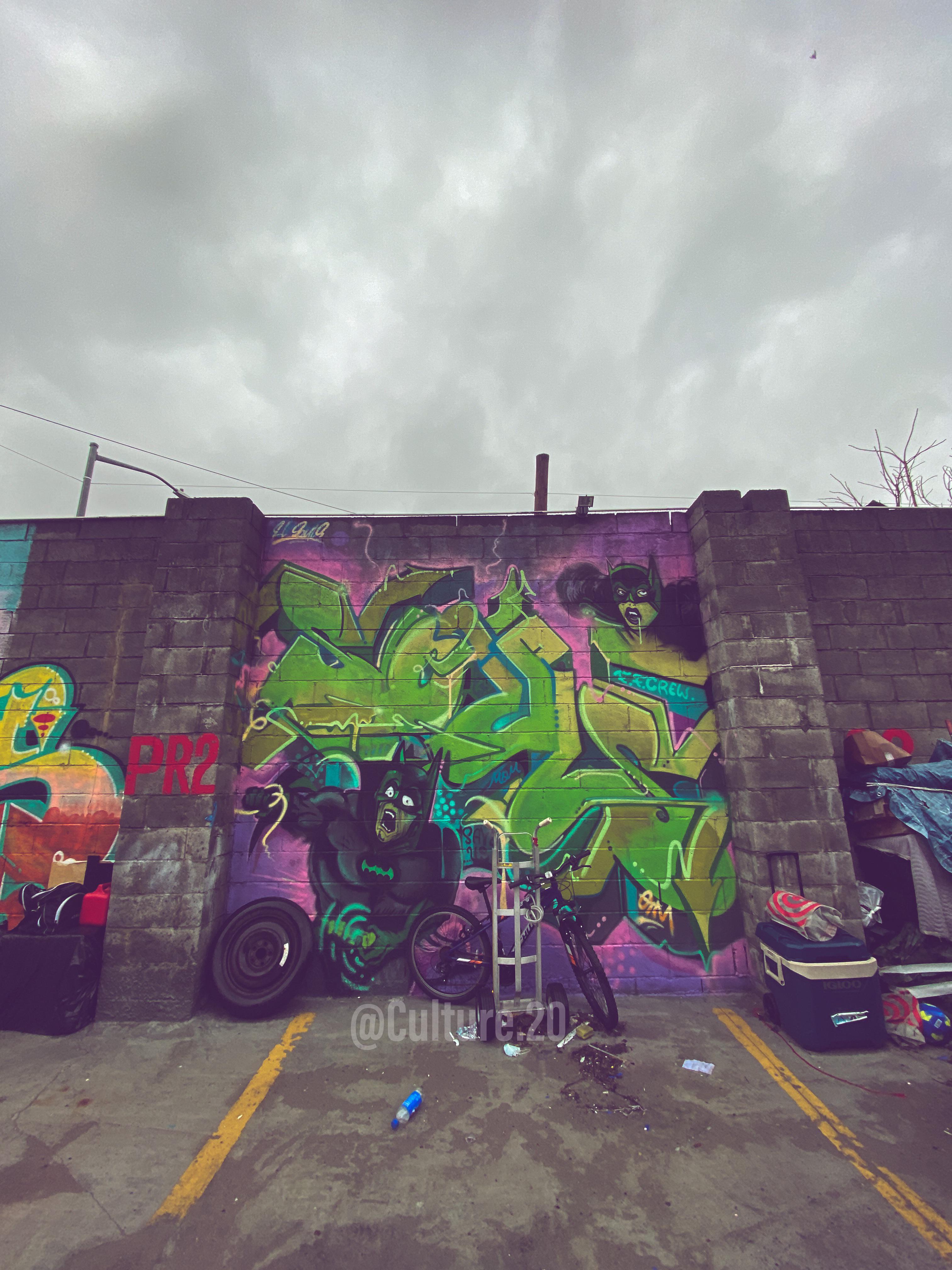 Murals in the Bronx. | Scrolller