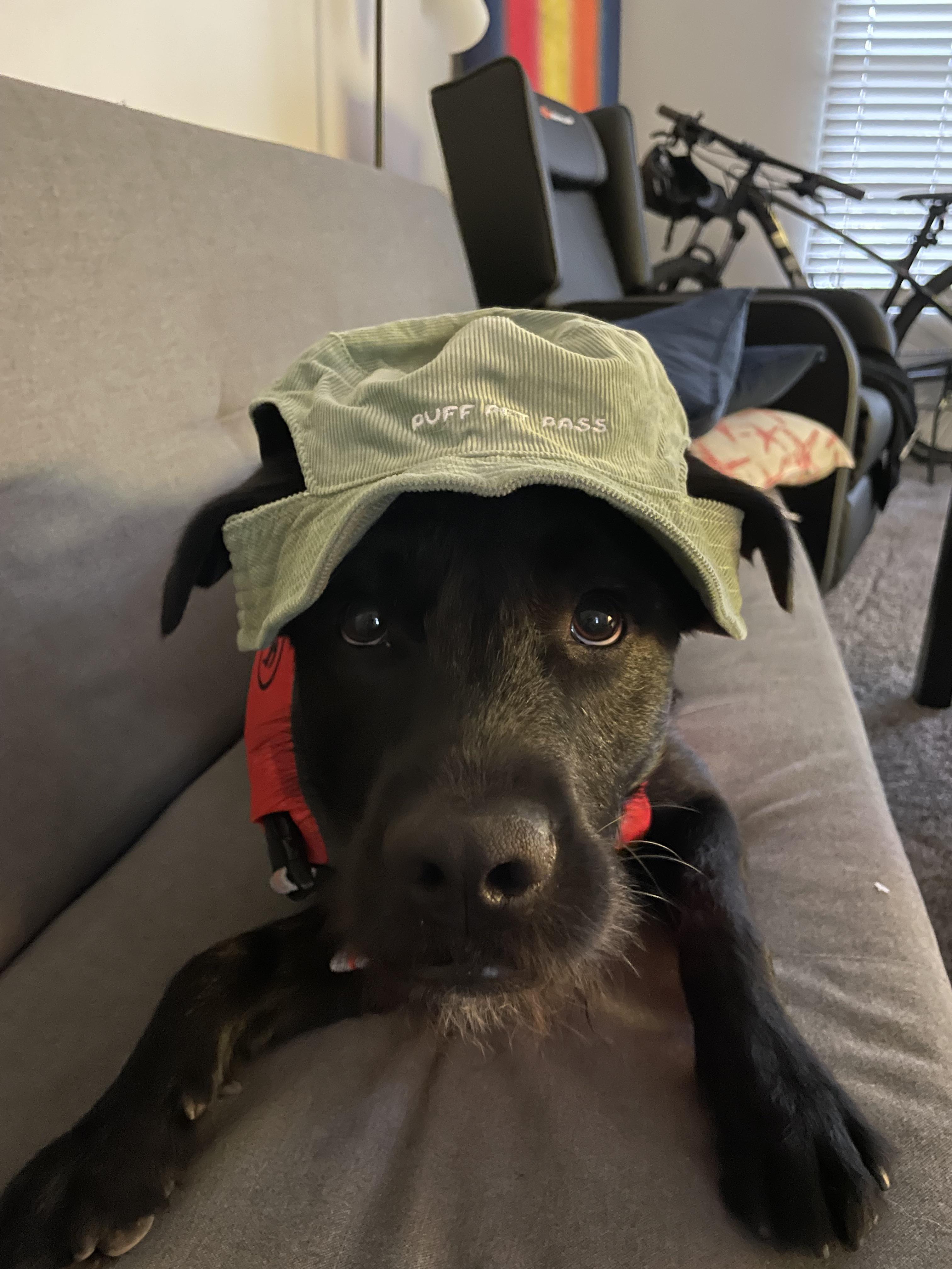 Just a regular boating gal | Scrolller