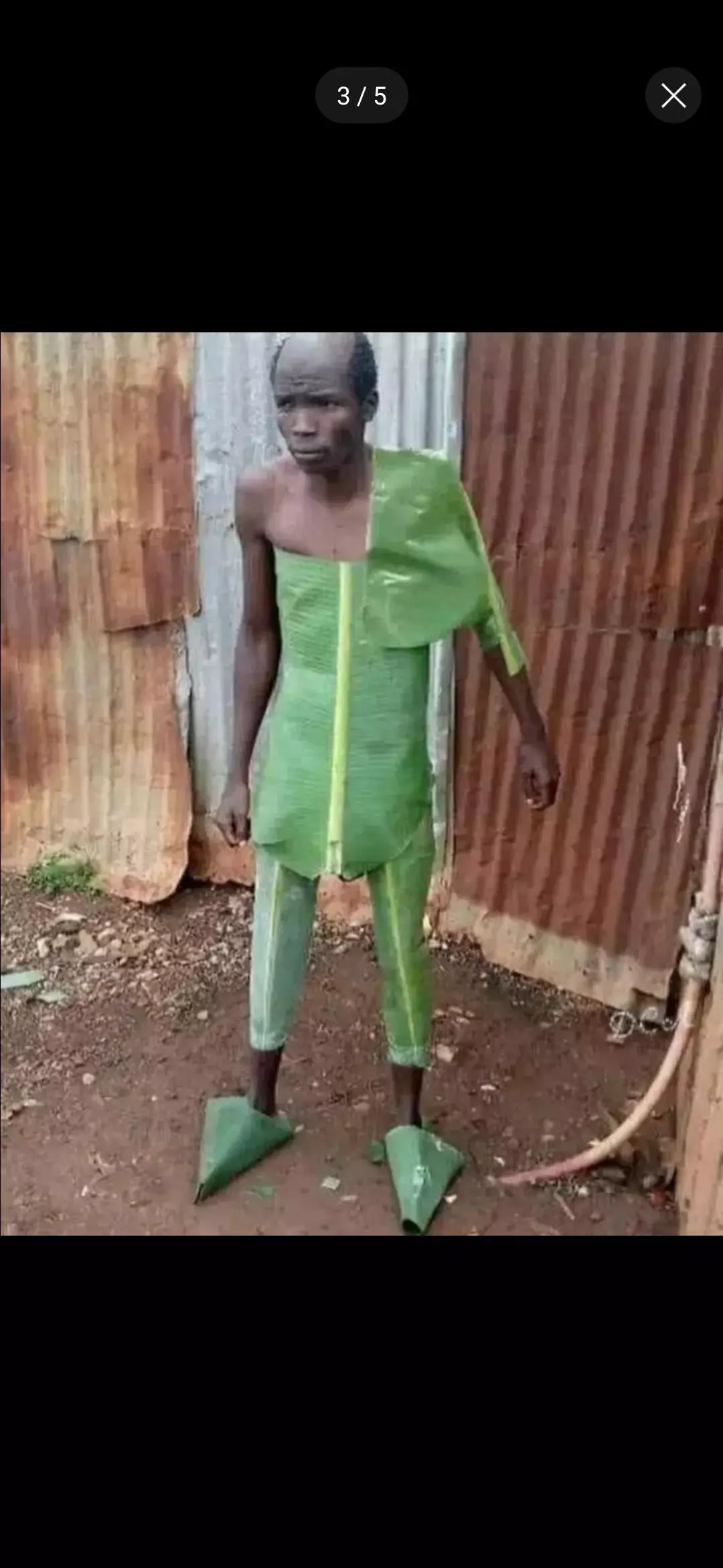 Full leaf armor | Scrolller