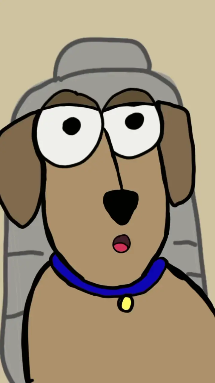 Fun and Dumb | Scrolller