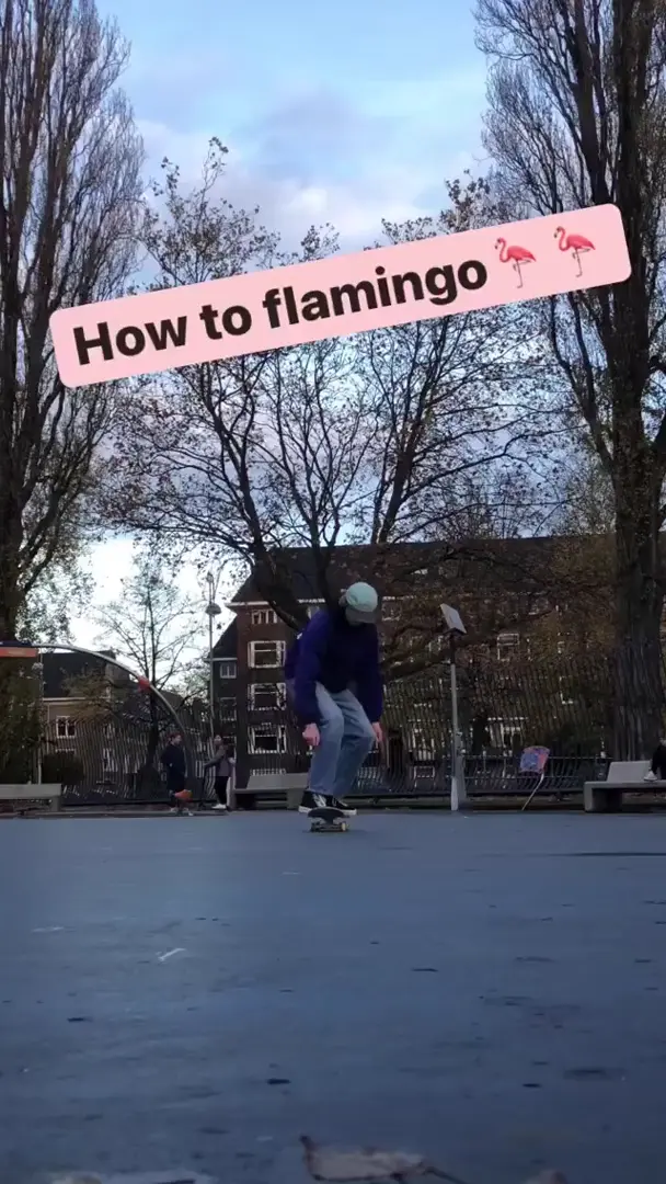 Fun one to try out! Different than the other freestyle flamingo, anyone got cool variations on ...