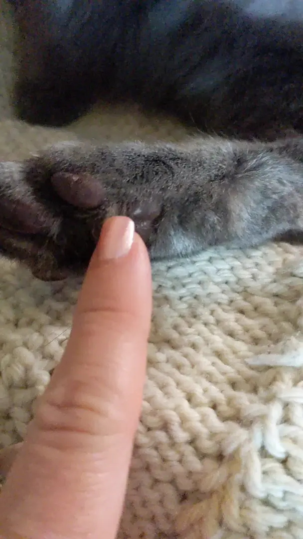 Fun with junior's toe beans! (no need for sound) | Scrolller