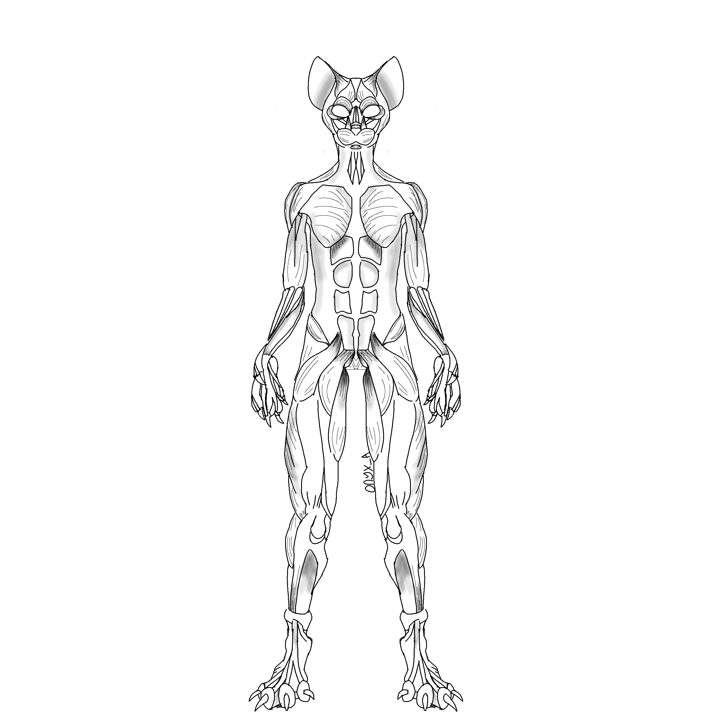 Discover more like Furry: Fursona anatomy and Related Content | Scrolller