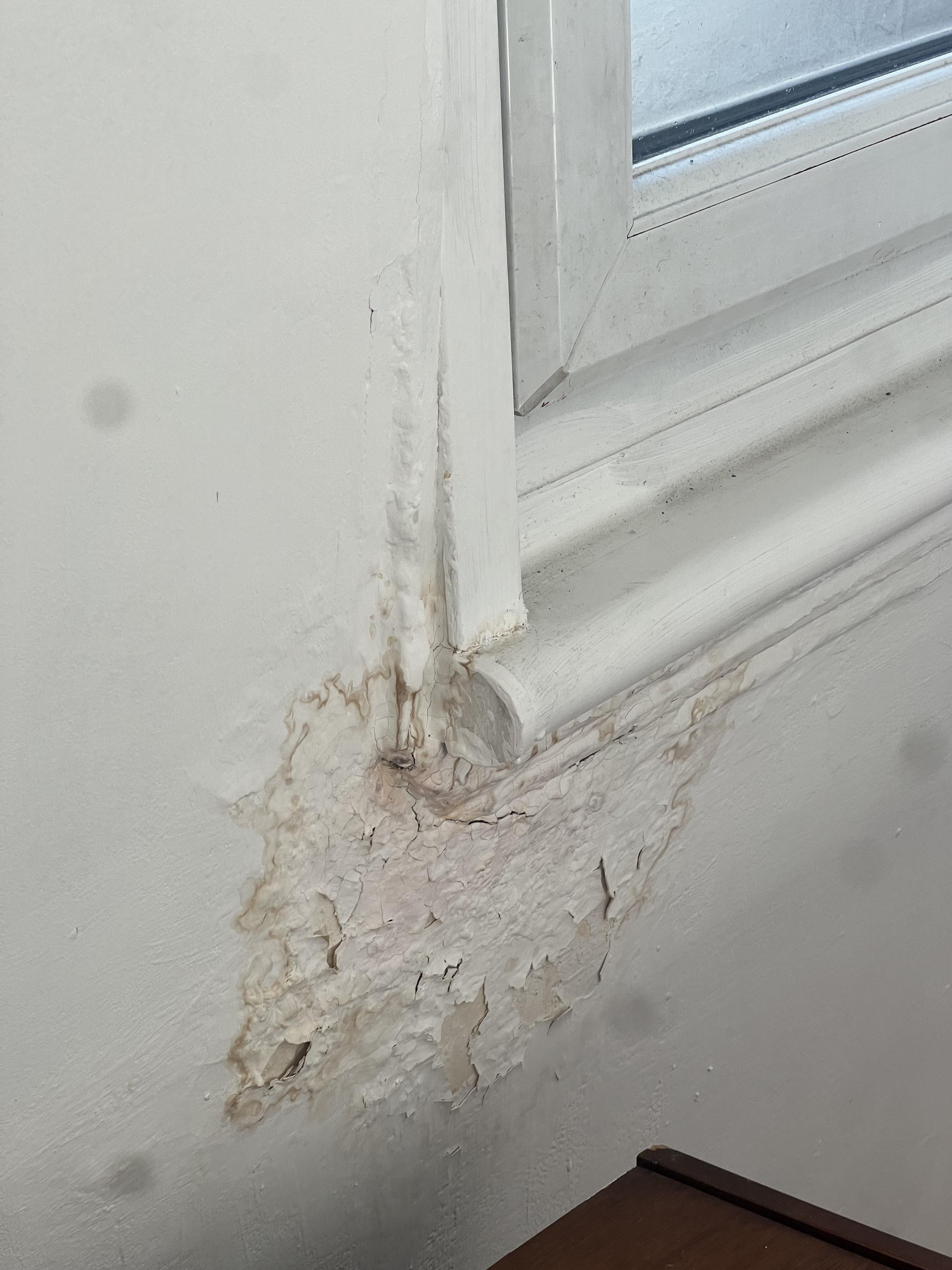 Water damage? | Scrolller