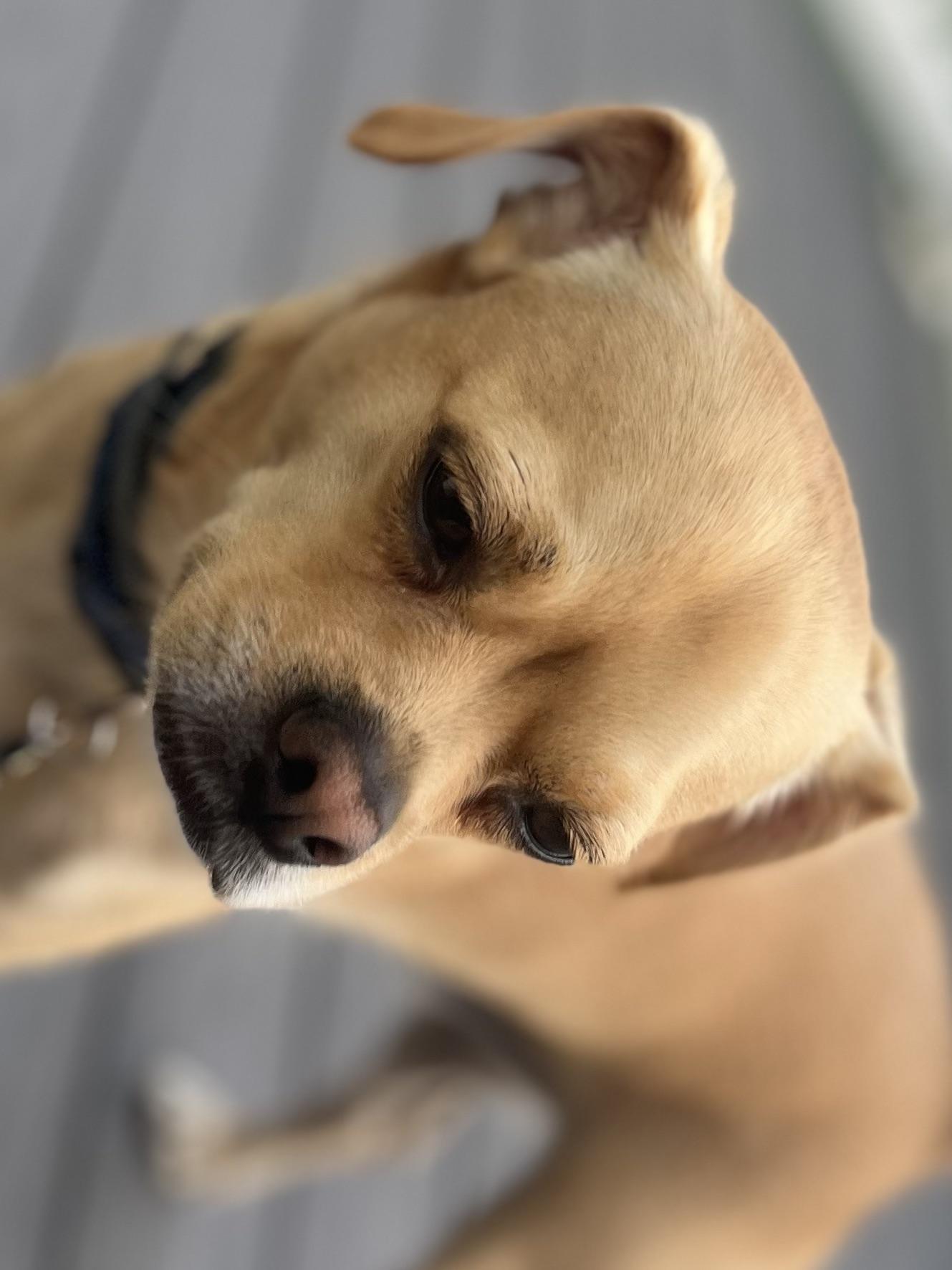 The Prince’s Photo dump | Scrolller