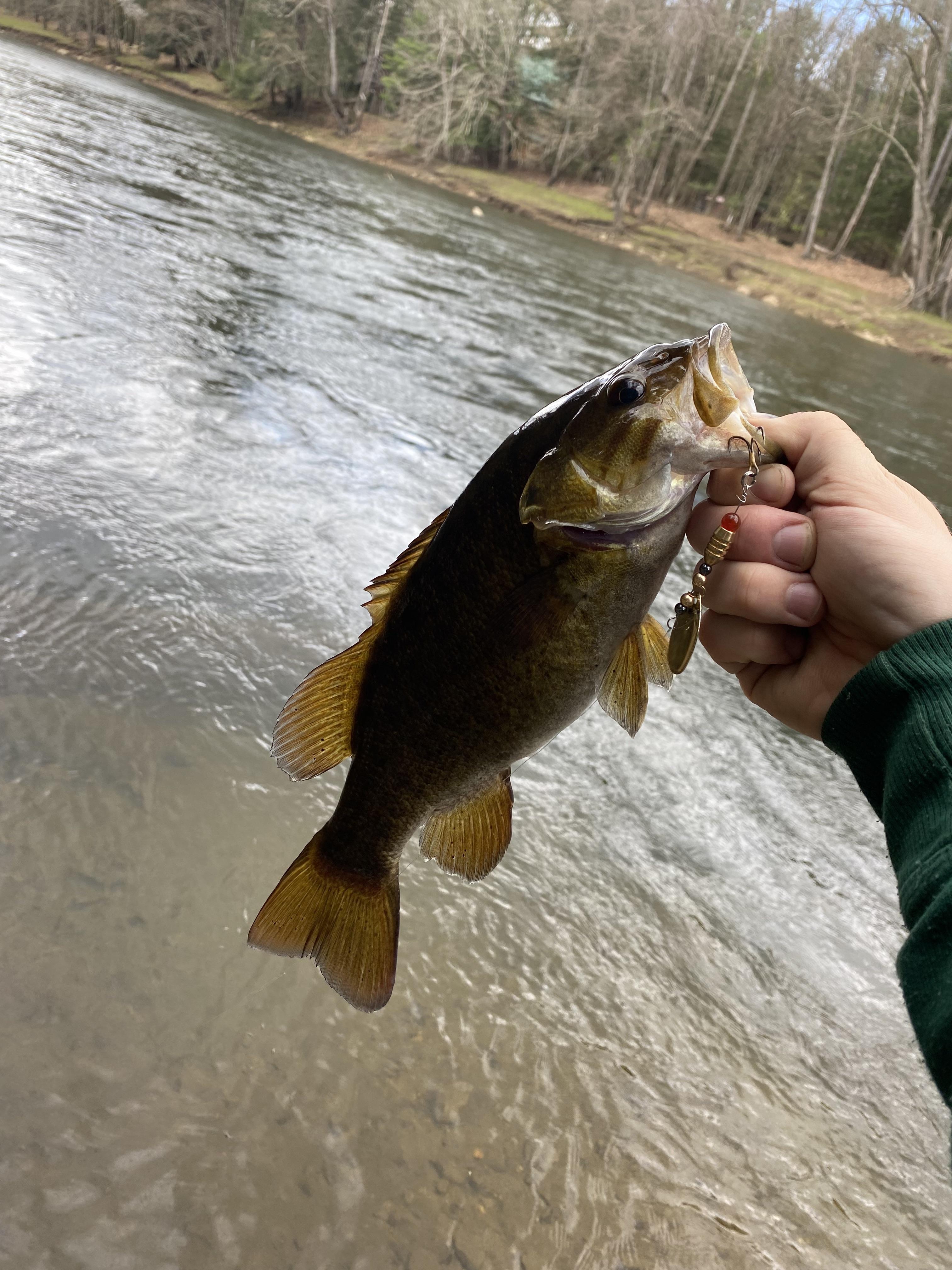 Some lures I made and fish caught on them | Scrolller