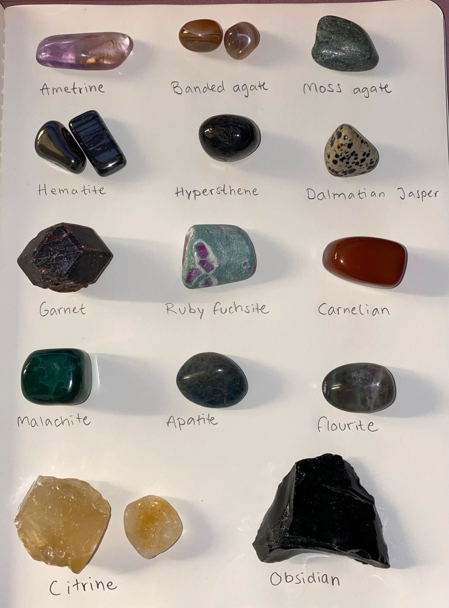 Wanted to share my growing (obsession) collection! | Scrolller