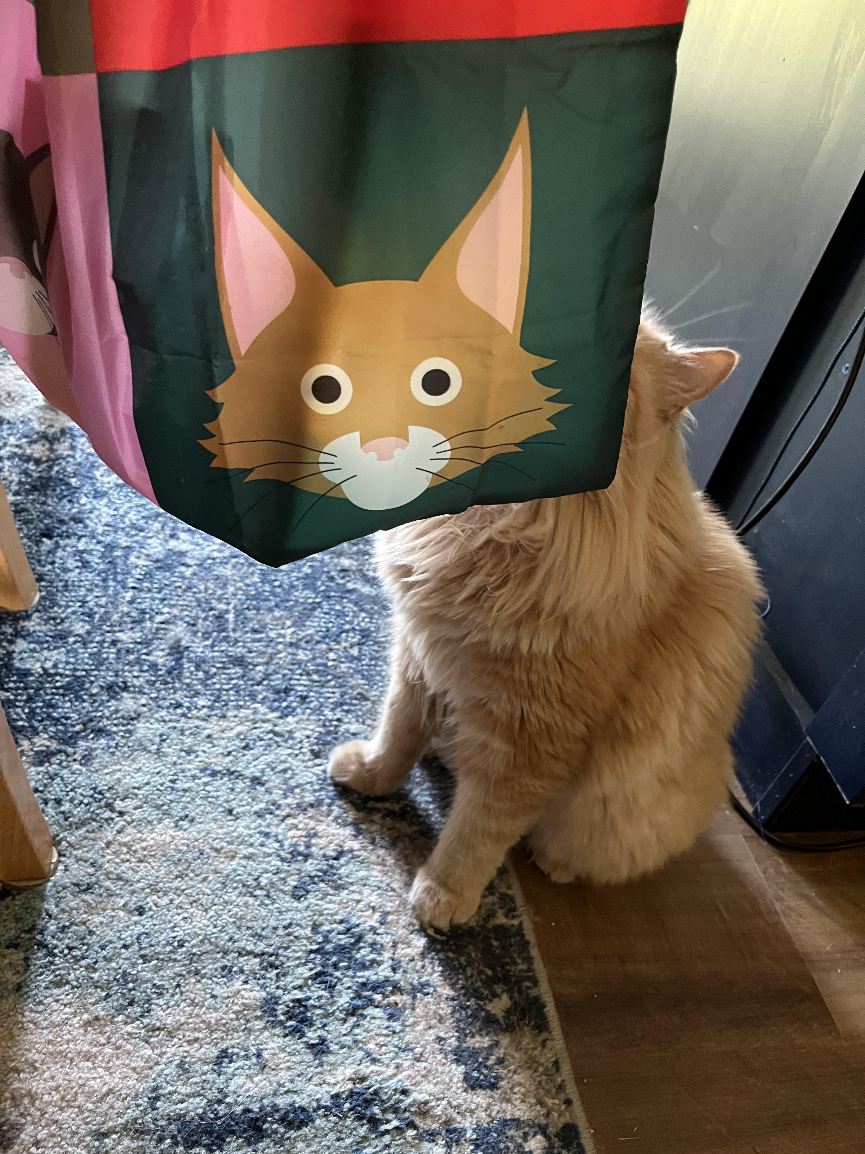 Discover more like Aww: Making Friends and Related Content | Scrolller