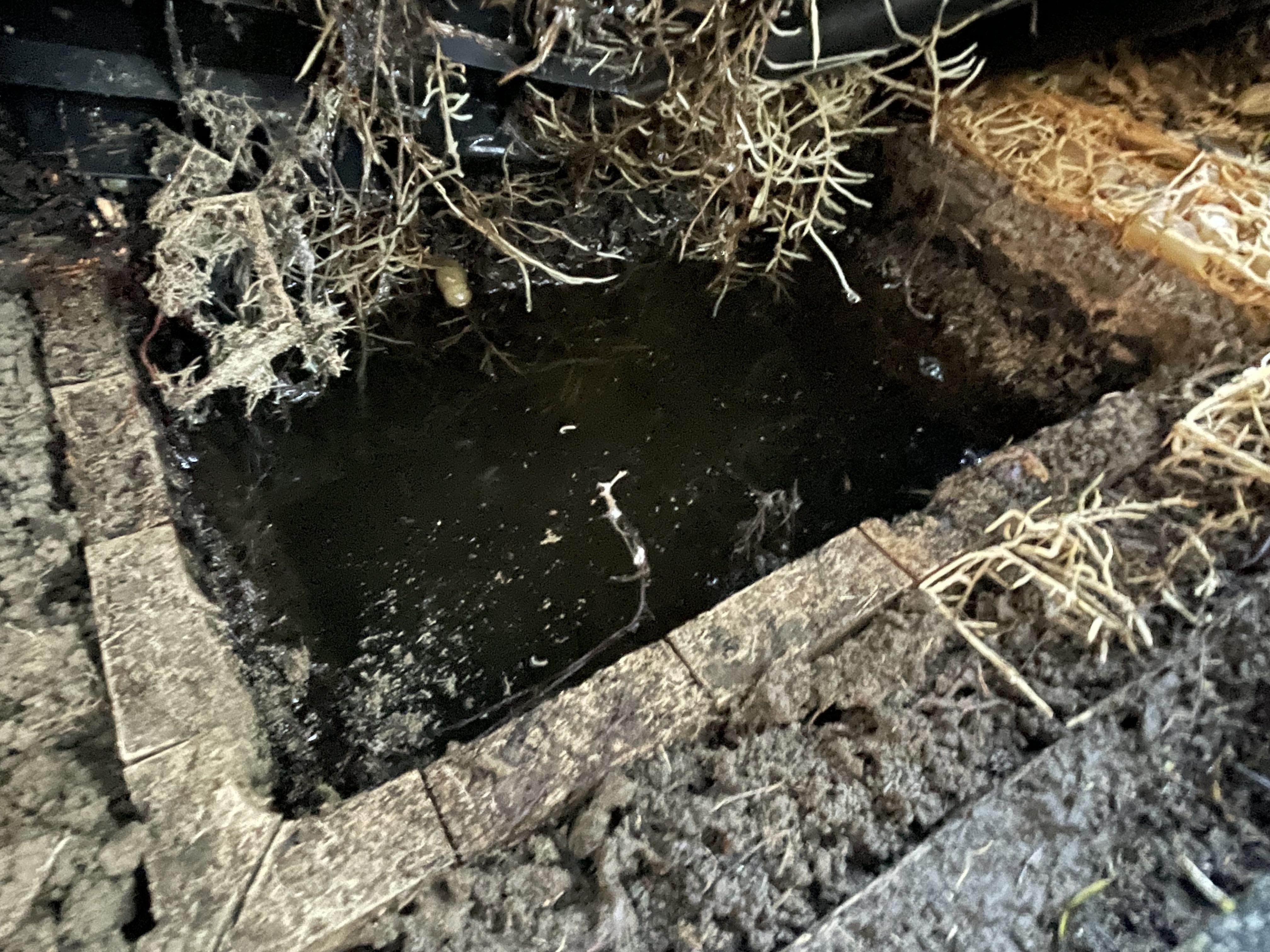 Weird water hole in front yard | Scrolller