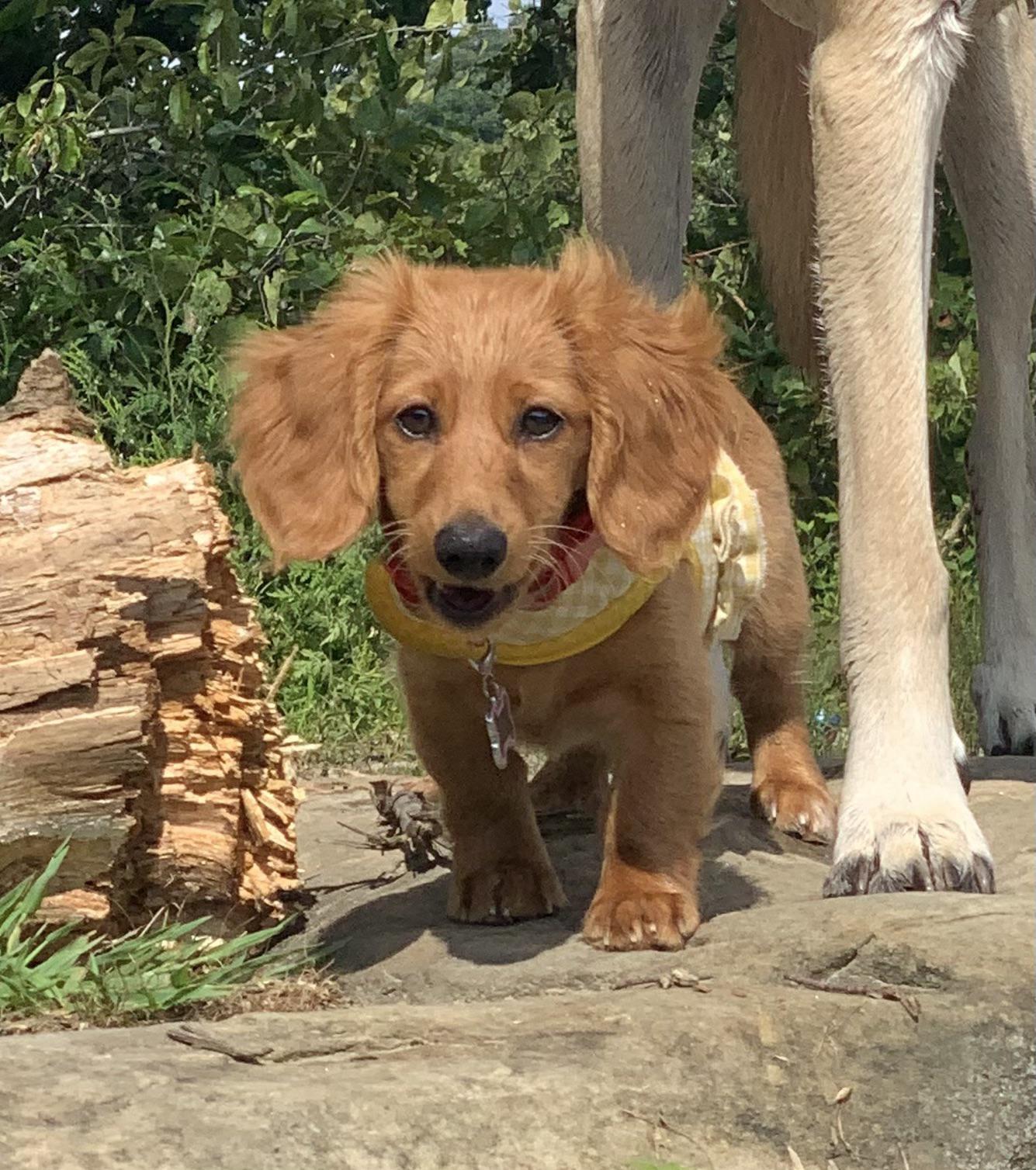 A few of Butters smiles | Scrolller