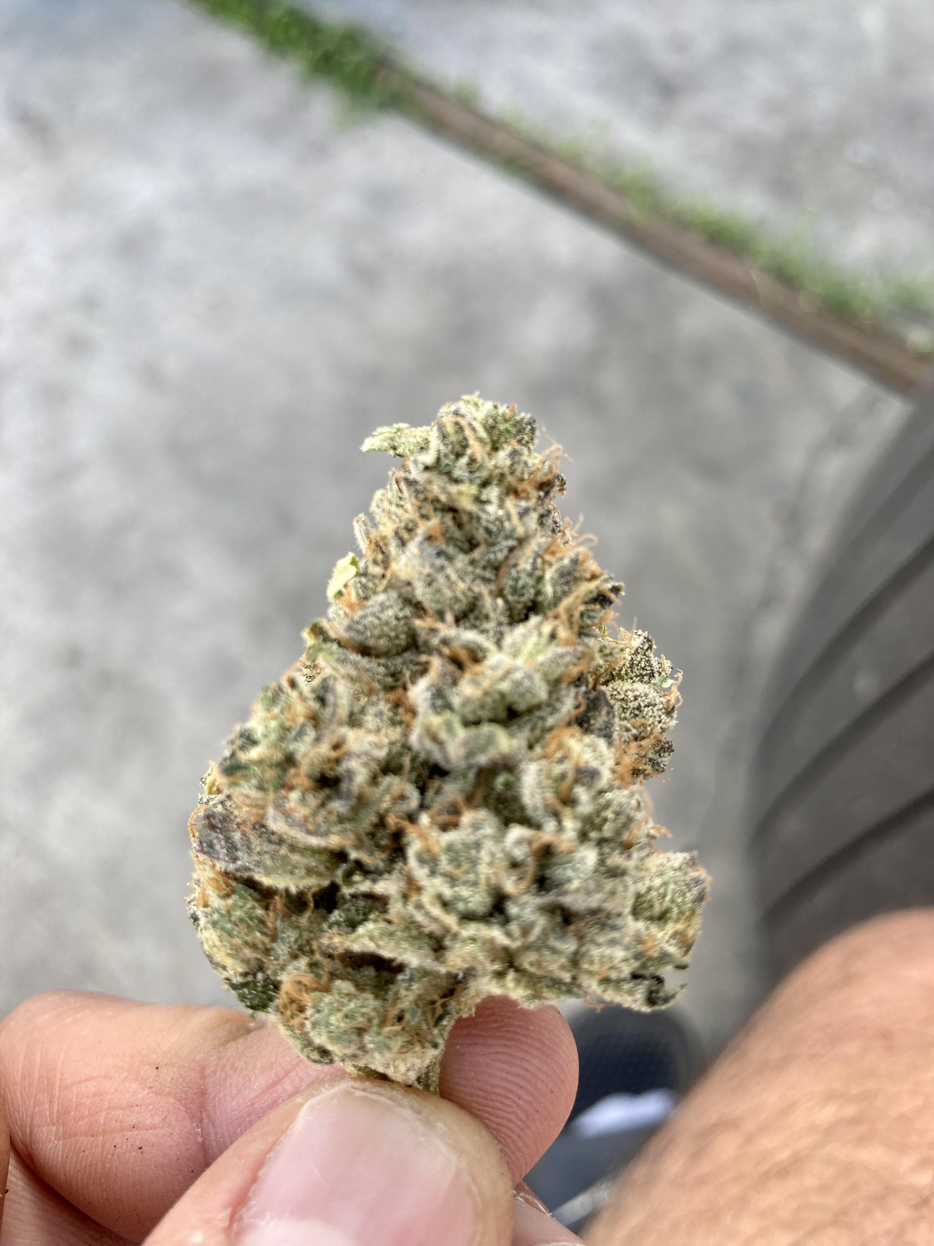 Time to light some some Kush Mountain from CBX. | Scrolller