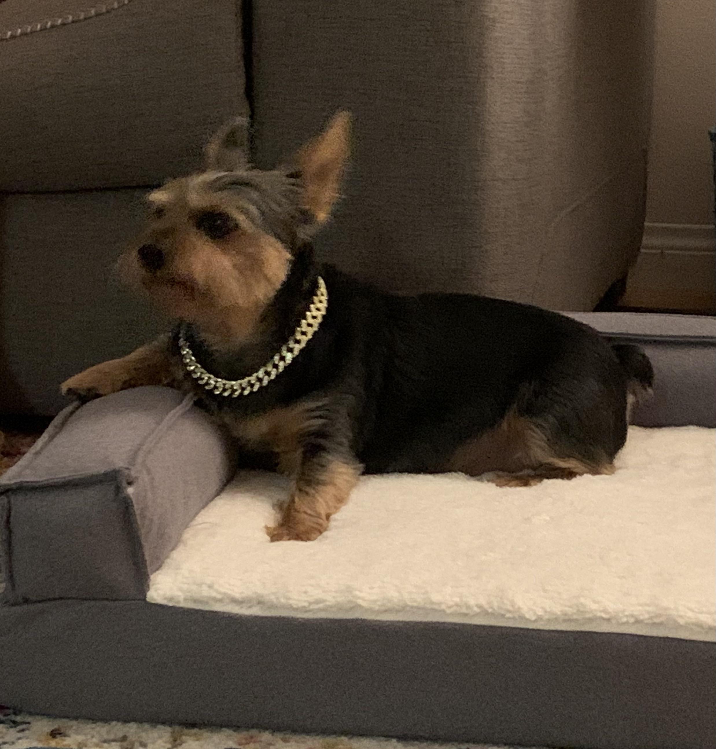 New sofa bed (oc) | Scrolller