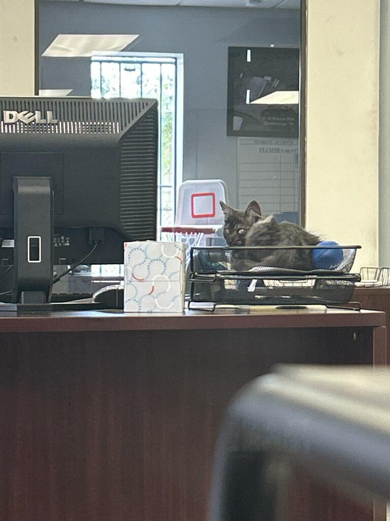 Welcome to the Smokey show | Scrolller