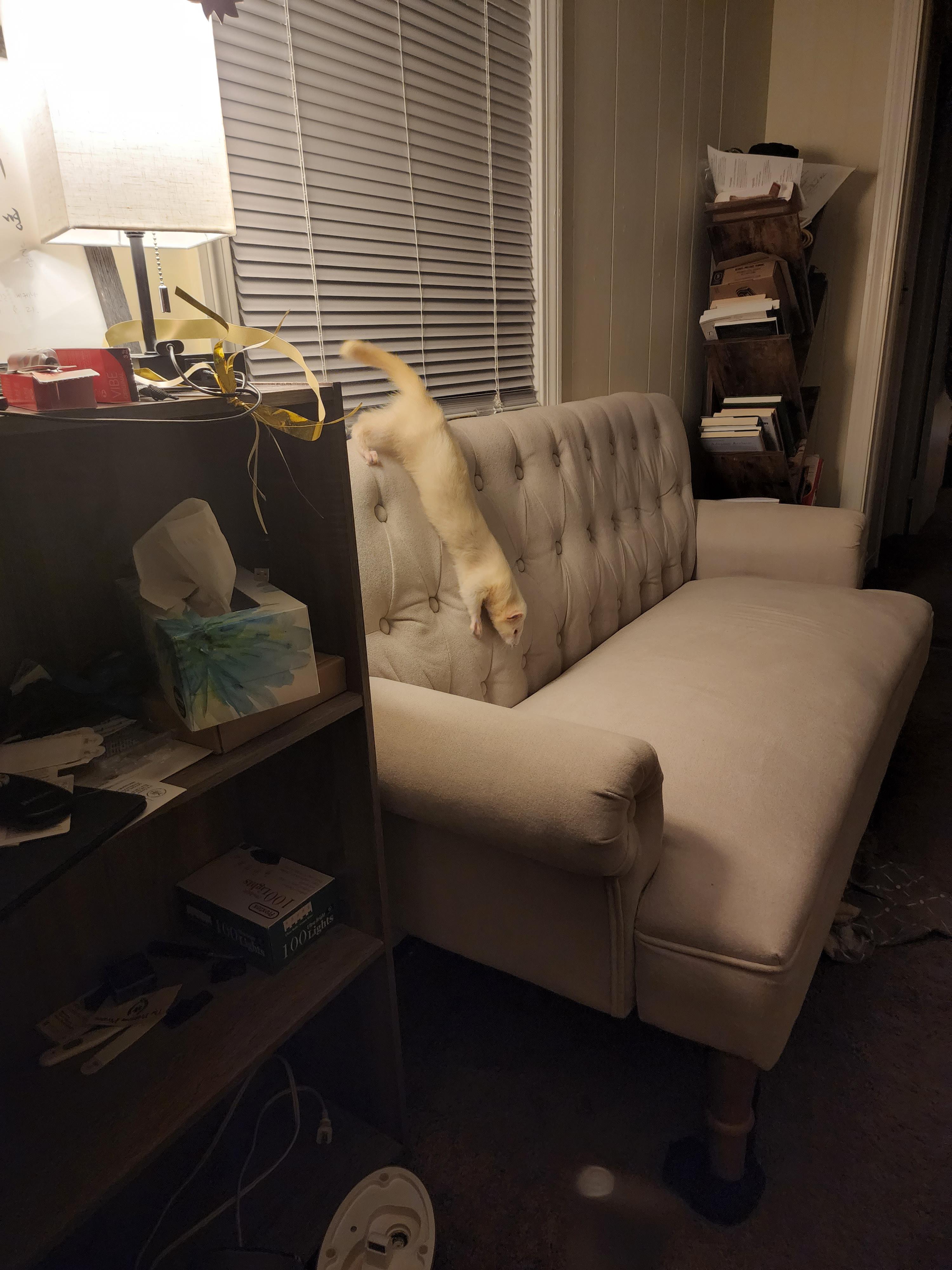 Obi Wan has the high ground | Scrolller