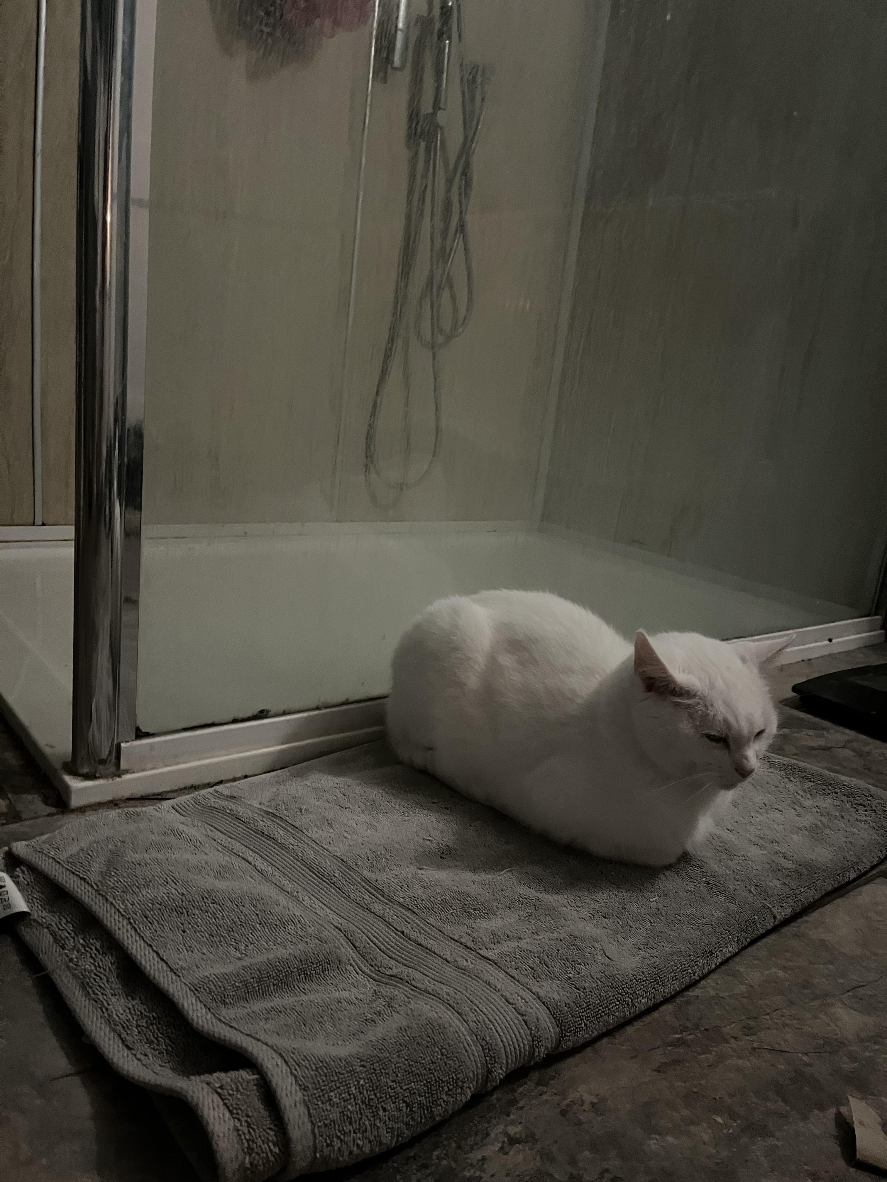 Bath time loaf | Scrolller
