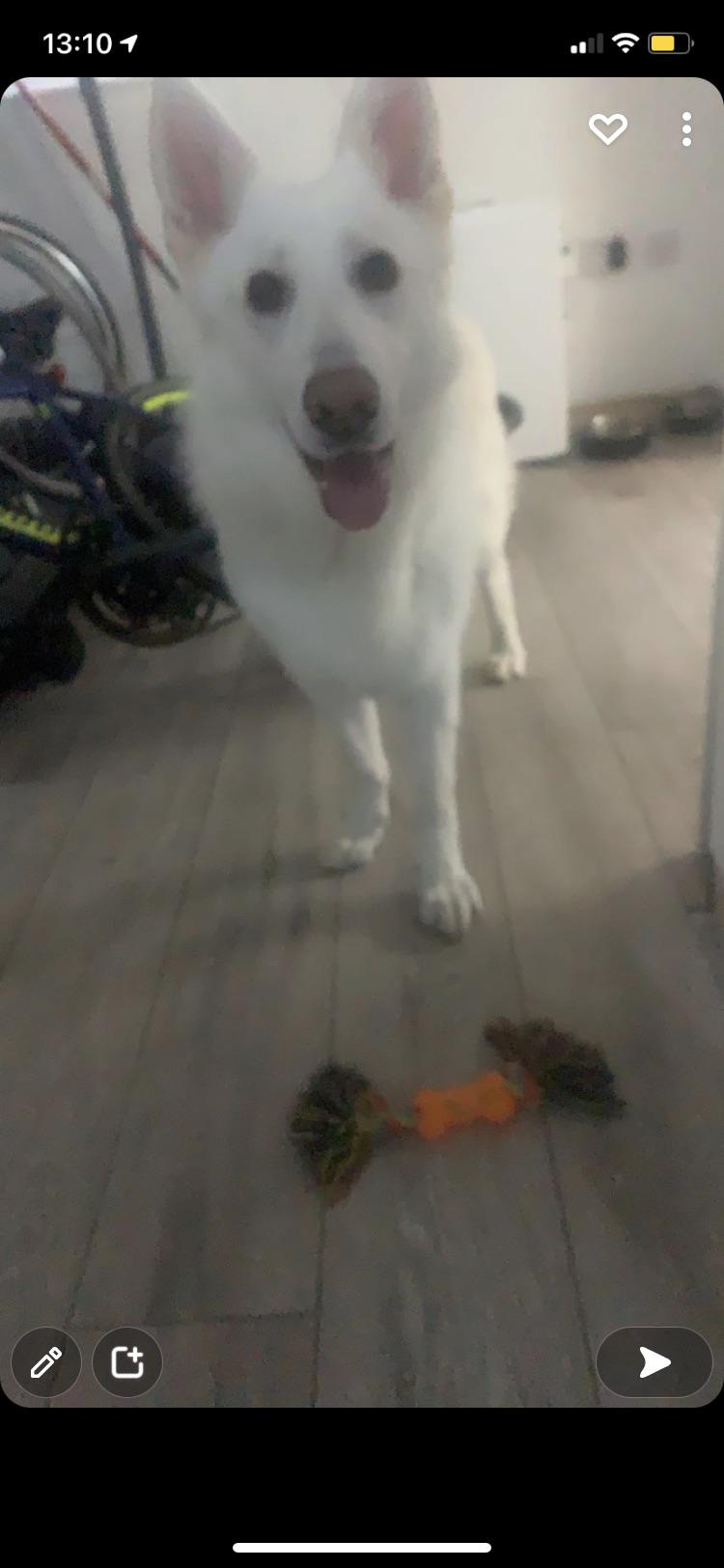 Guess her age | Scrolller