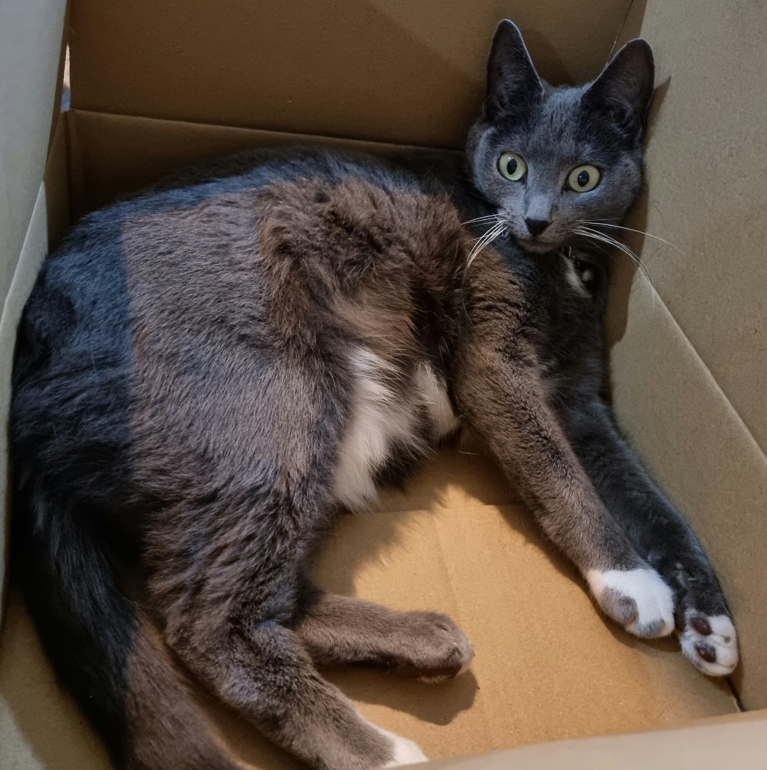 Crazy Pixie... | Scrolller