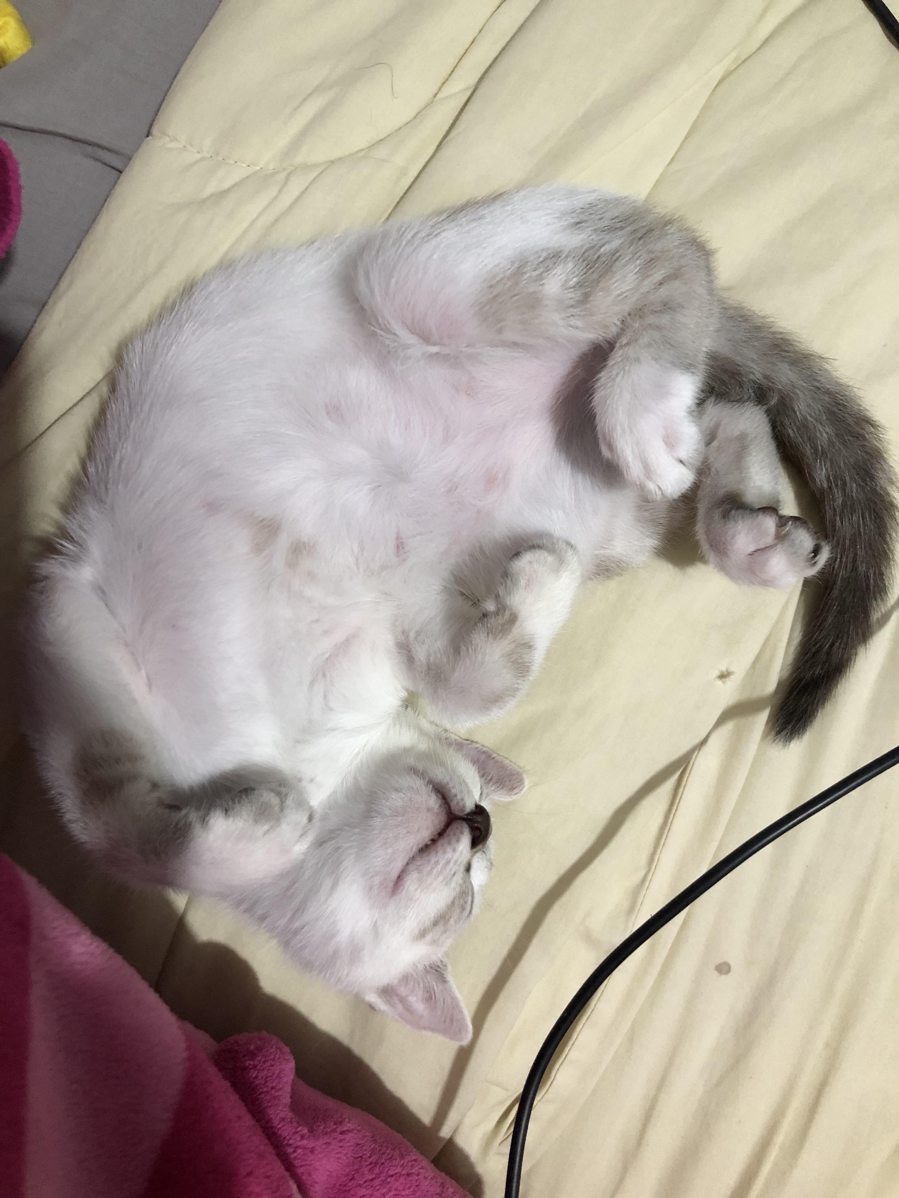 Sleepy belly, playful belly - two months apart | Scrolller