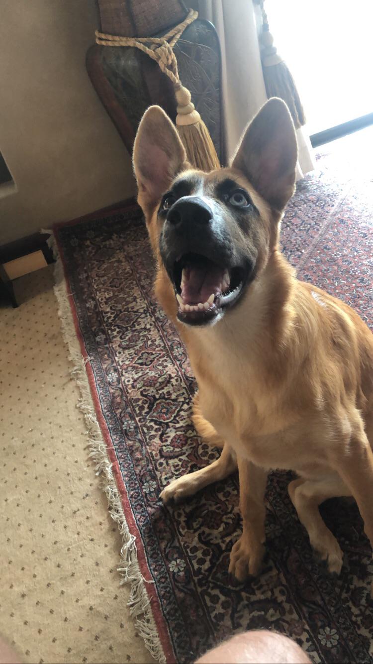 Complete Focus | Scrolller