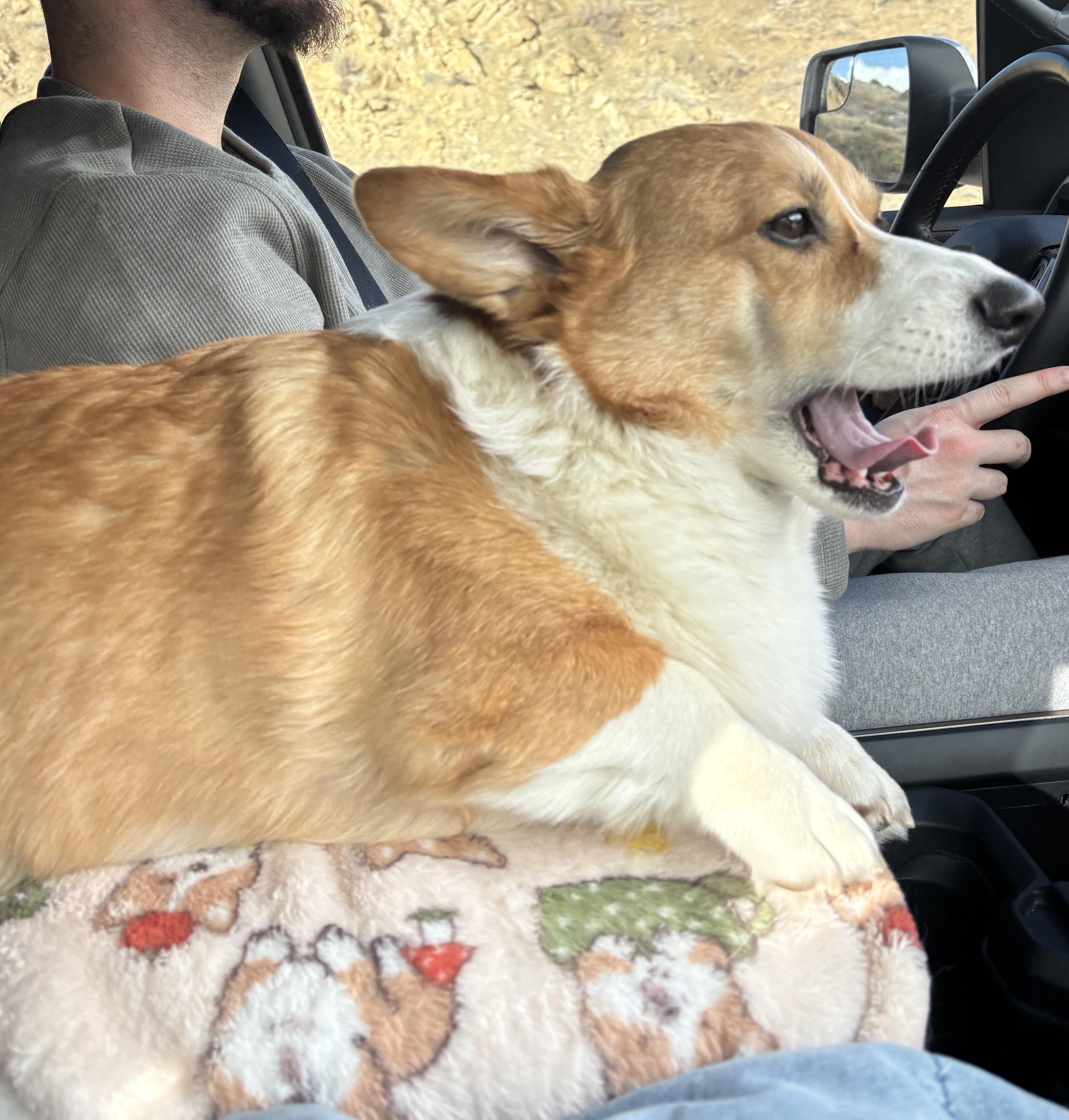 Passenger Prince | Scrolller