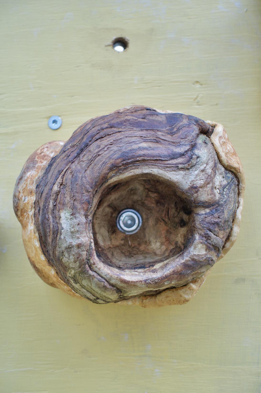 Discover more like Climbing: Wooden climbing holds from tree knots and Related Content | Scrolller