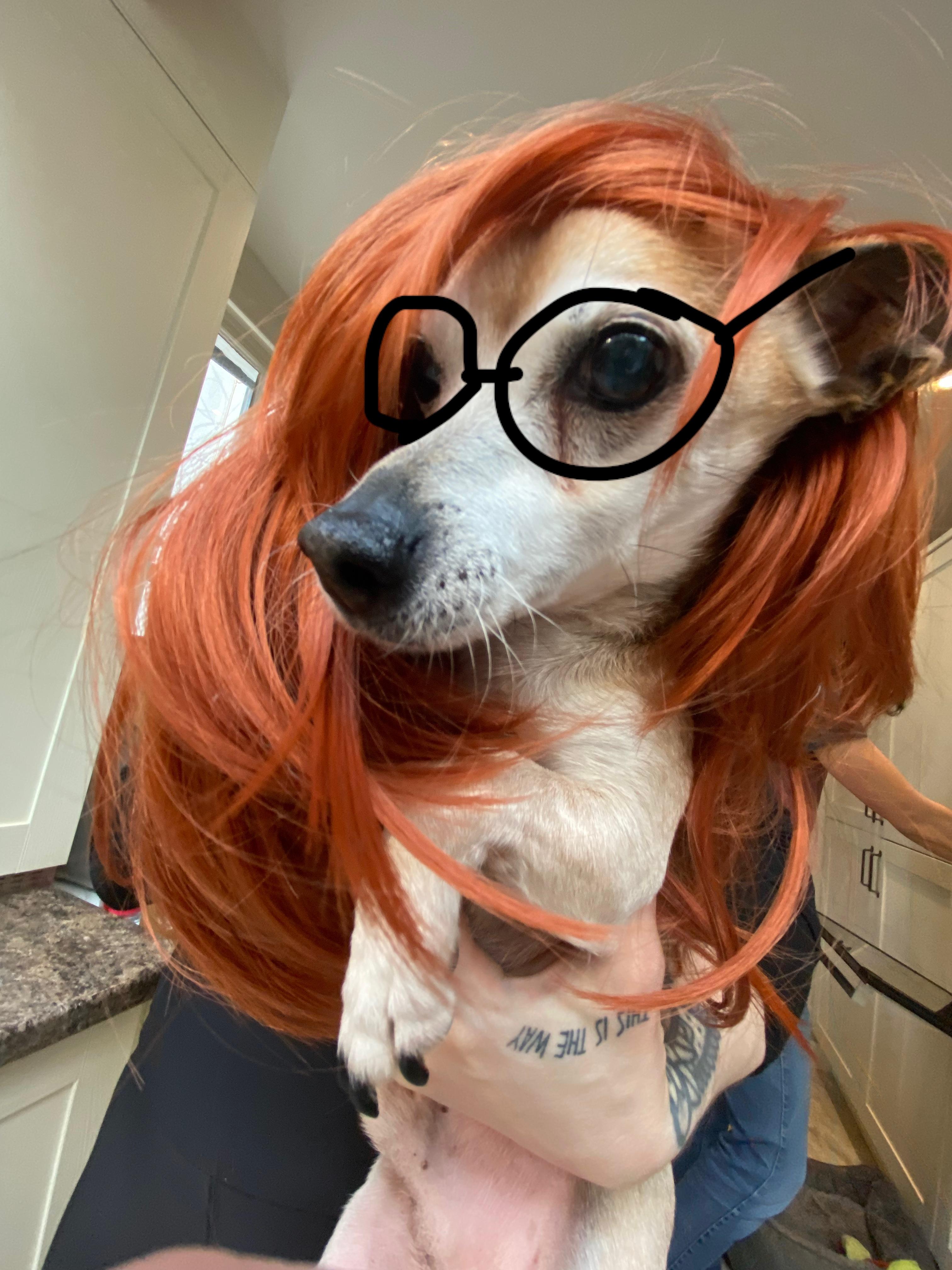 Daria and jane unintentional dog cosplay | Scrolller