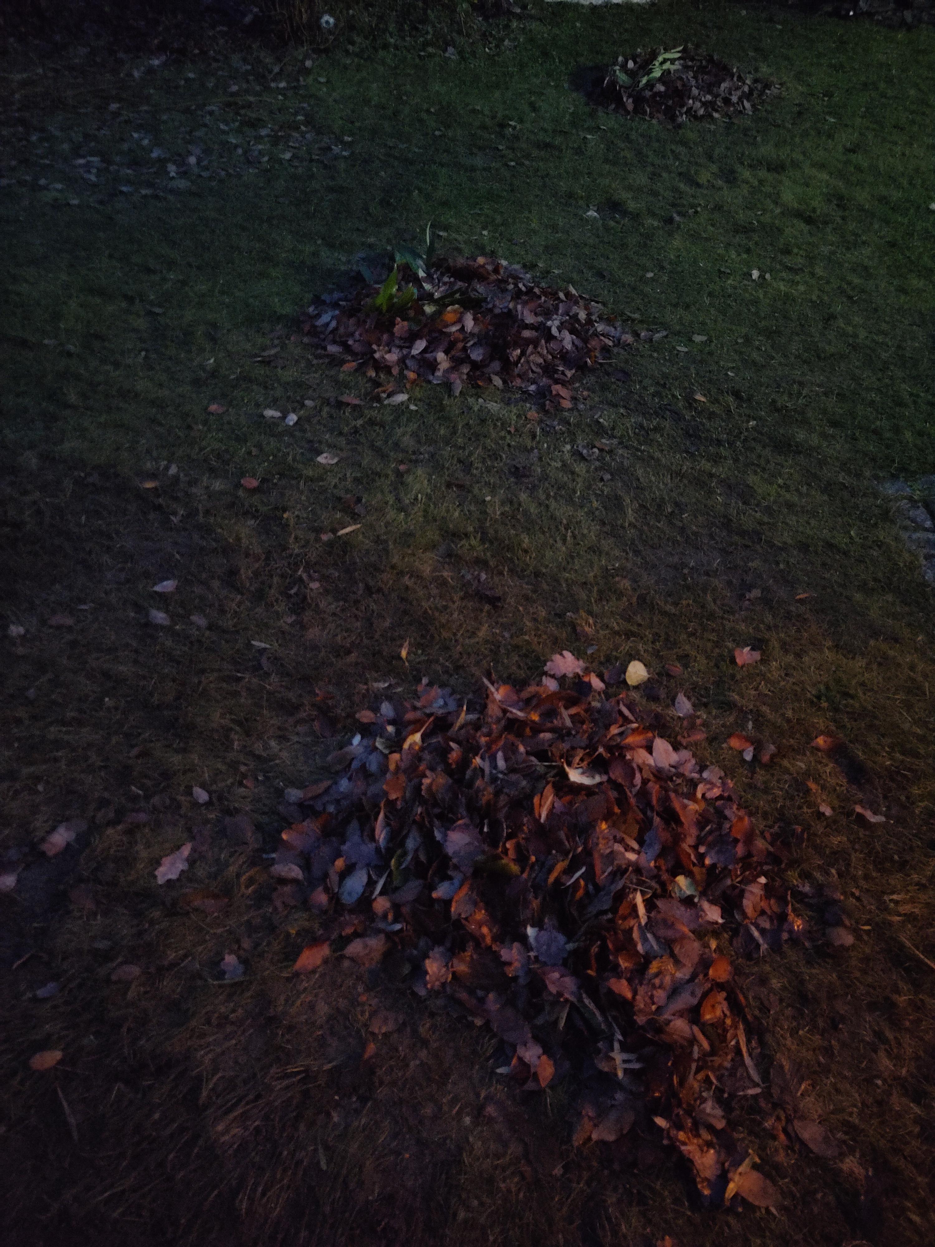 Silence | Pictures | Scrolller