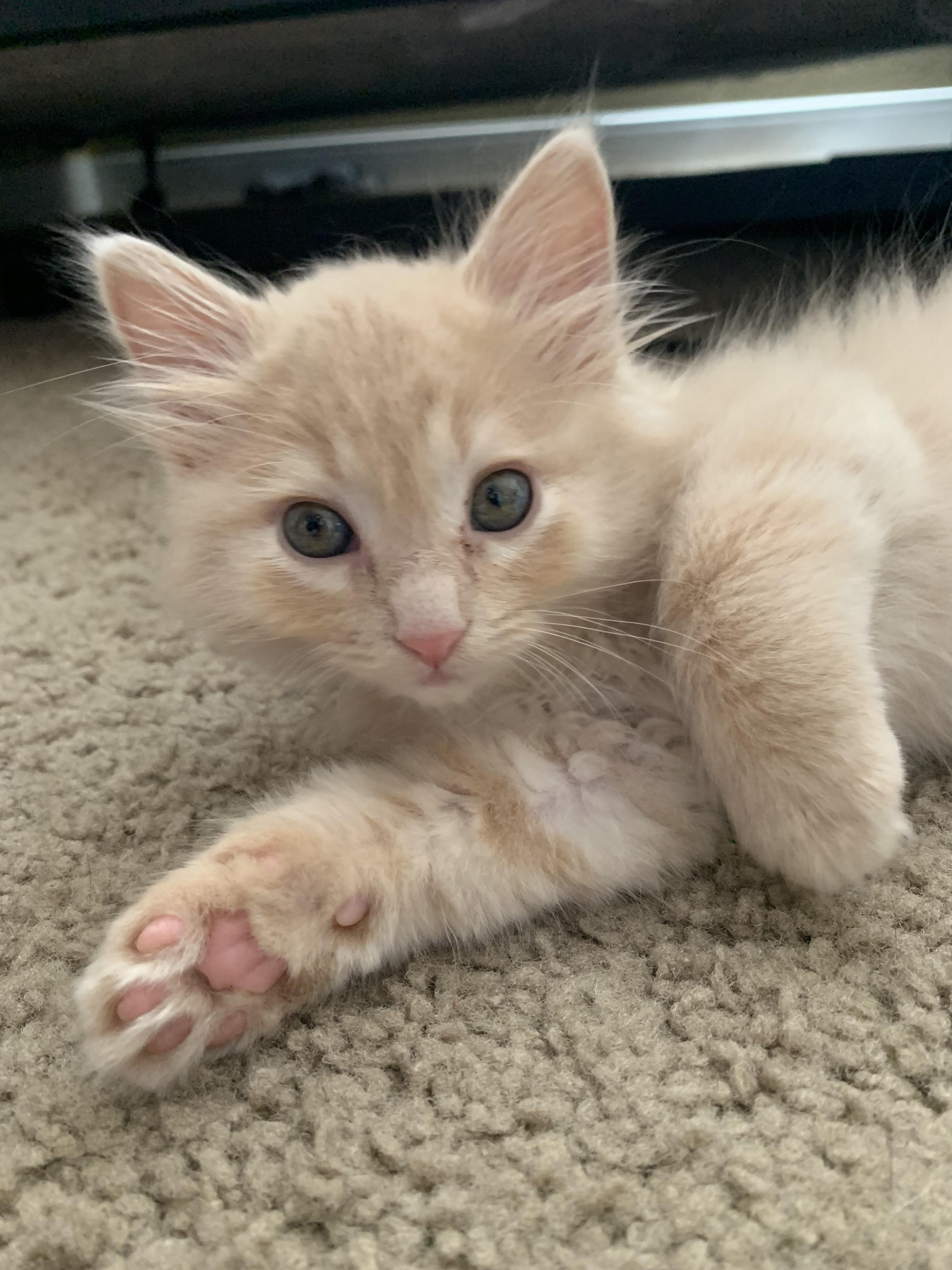 Baby beans! | Scrolller