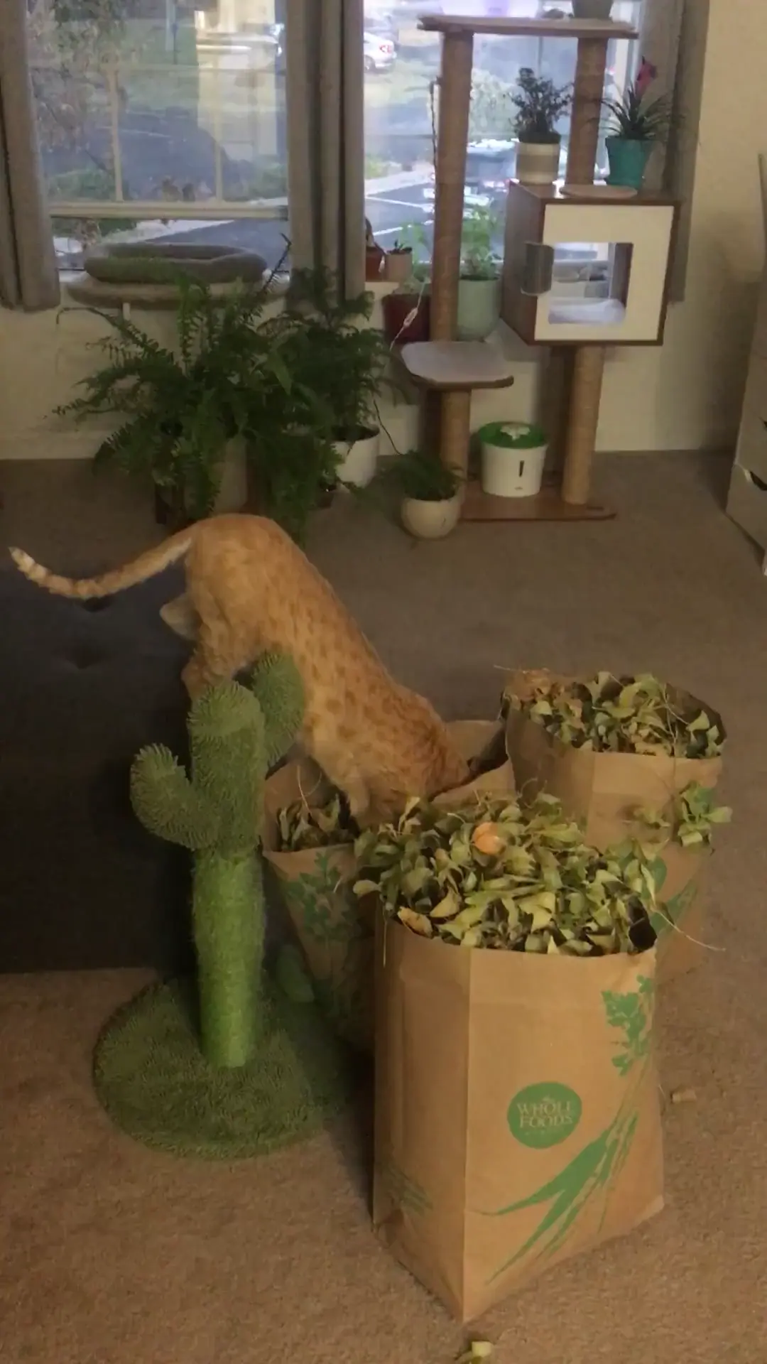 Gary took the bait. | Scrolller