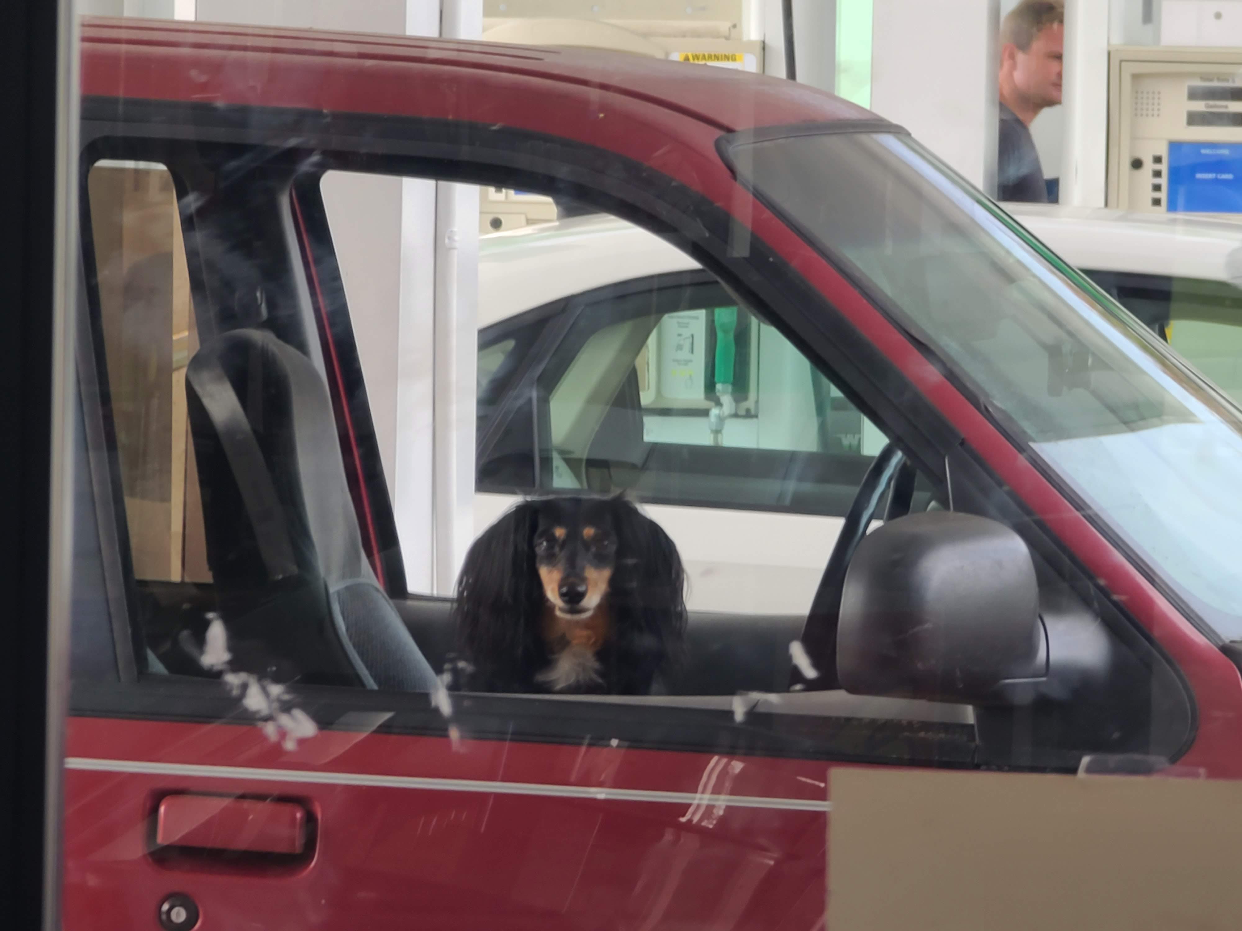 Gas station peep #2 | Scrolller