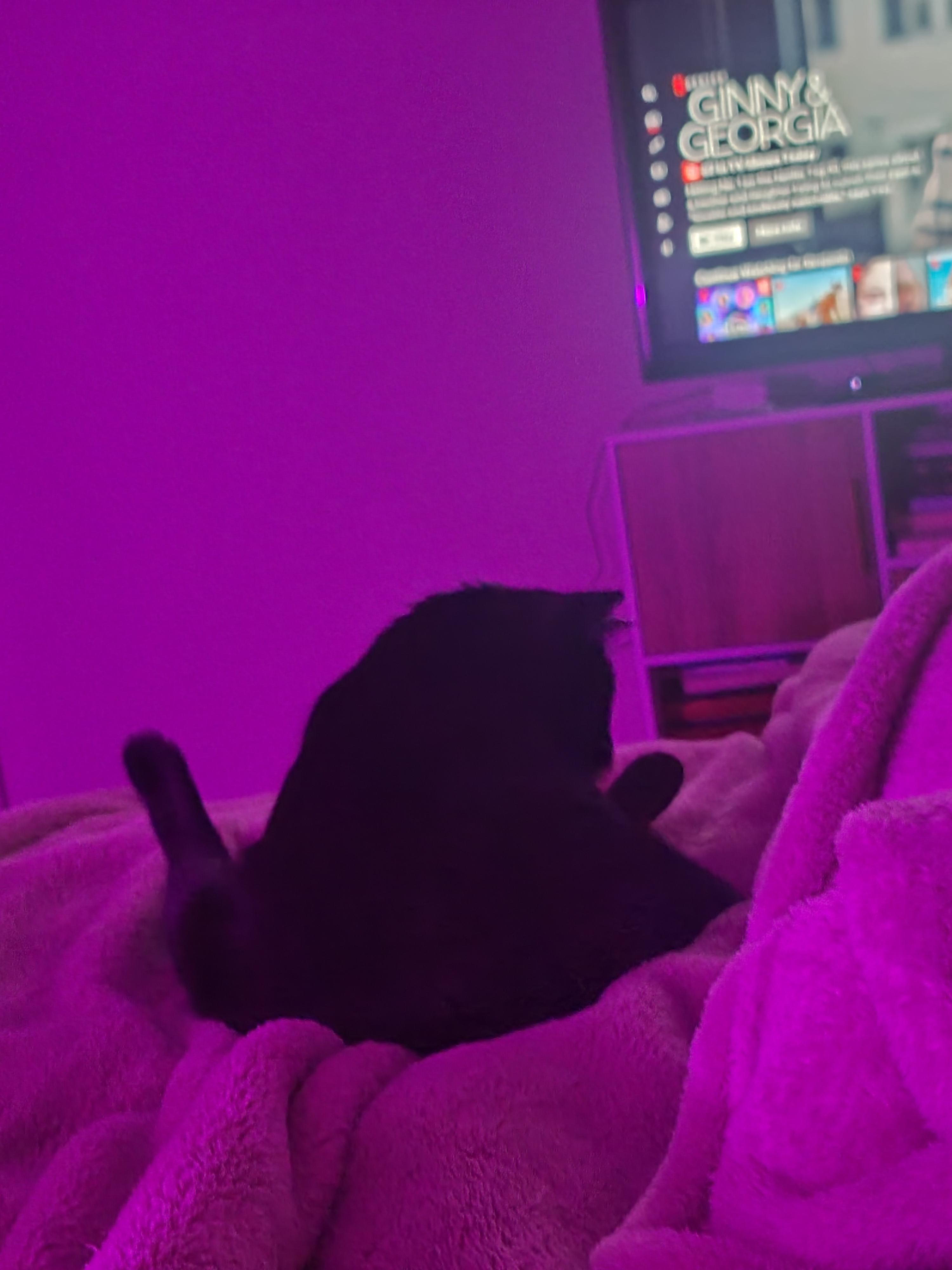 Void Blob | Scrolller