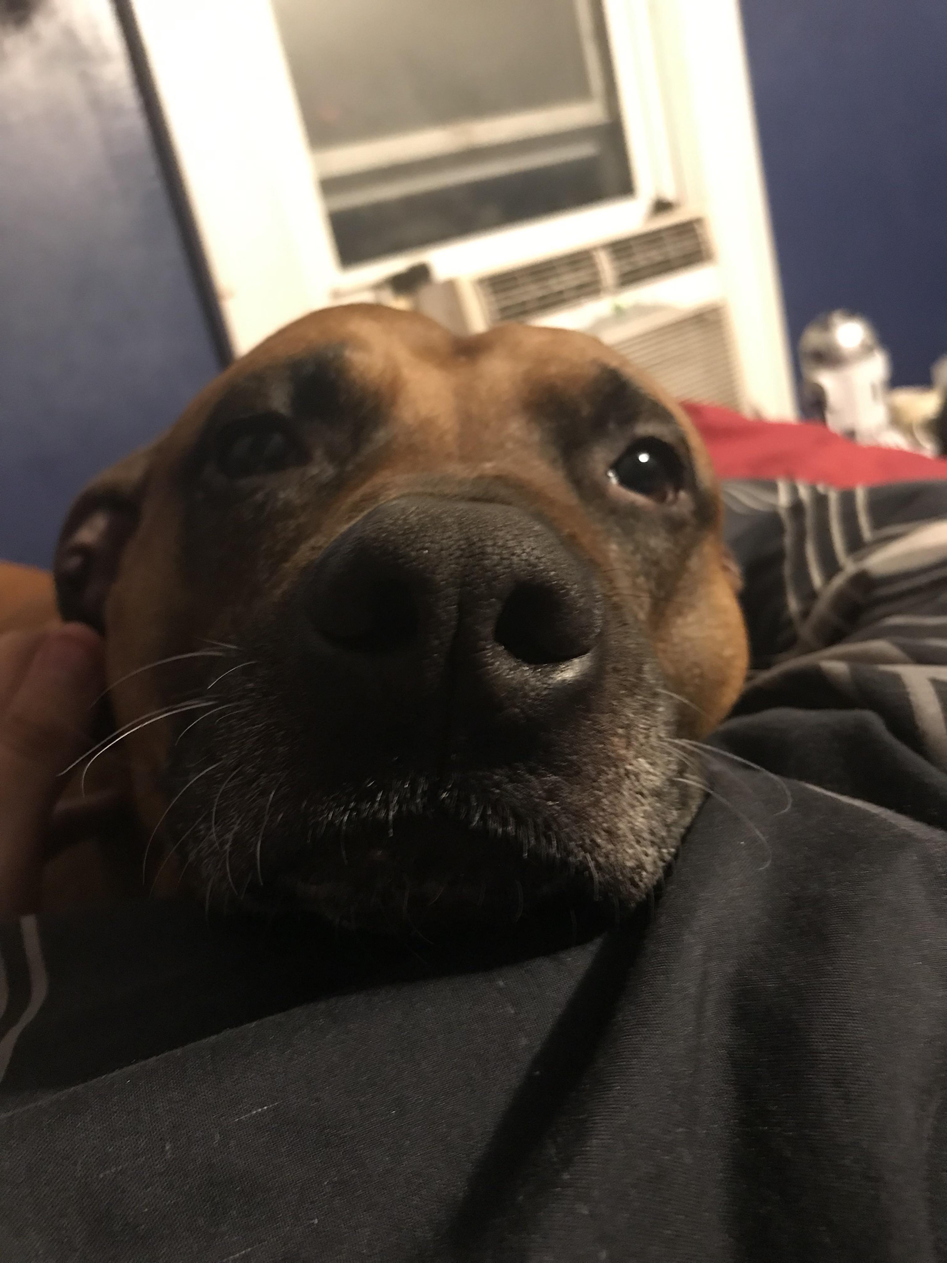 Before and after pick up a cookie | Scrolller