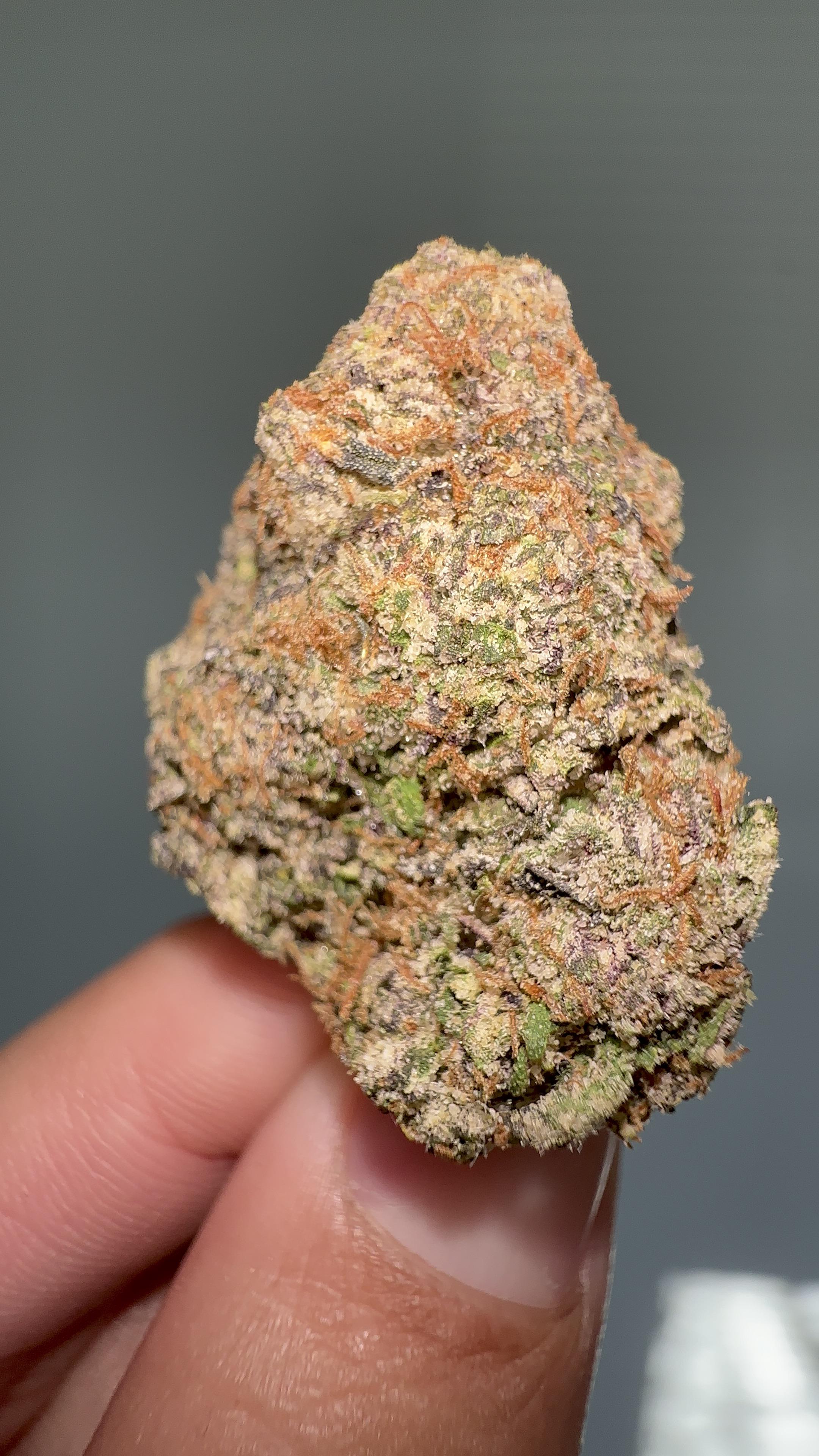 Gelato #41 | Scrolller