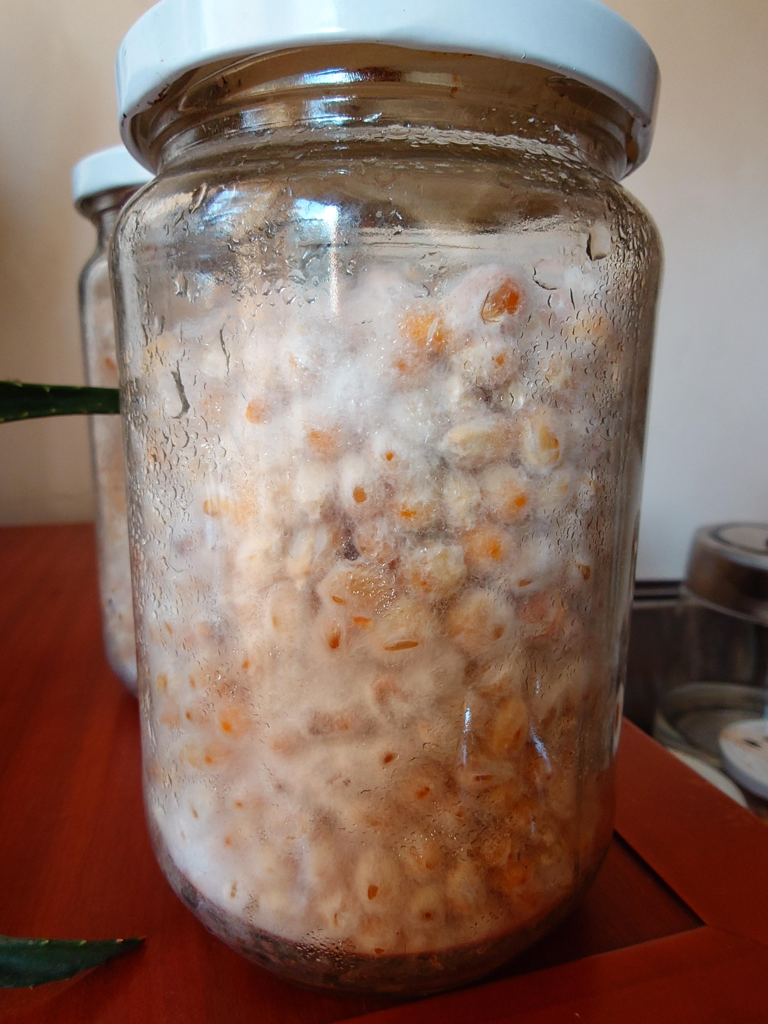 [general] Delaying spawning of jars that almost colonized | Scrolller