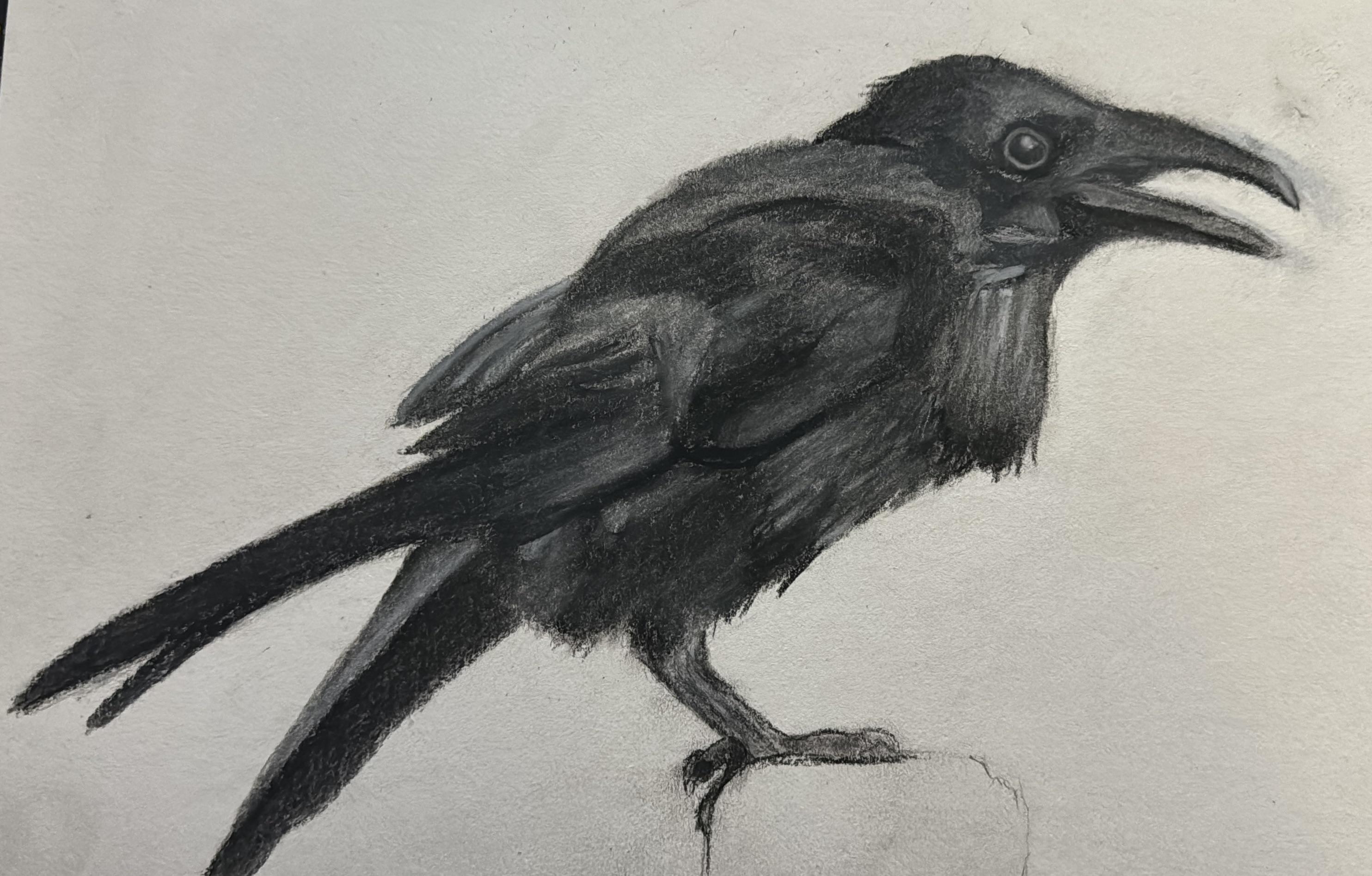 General advice? | Scrolller