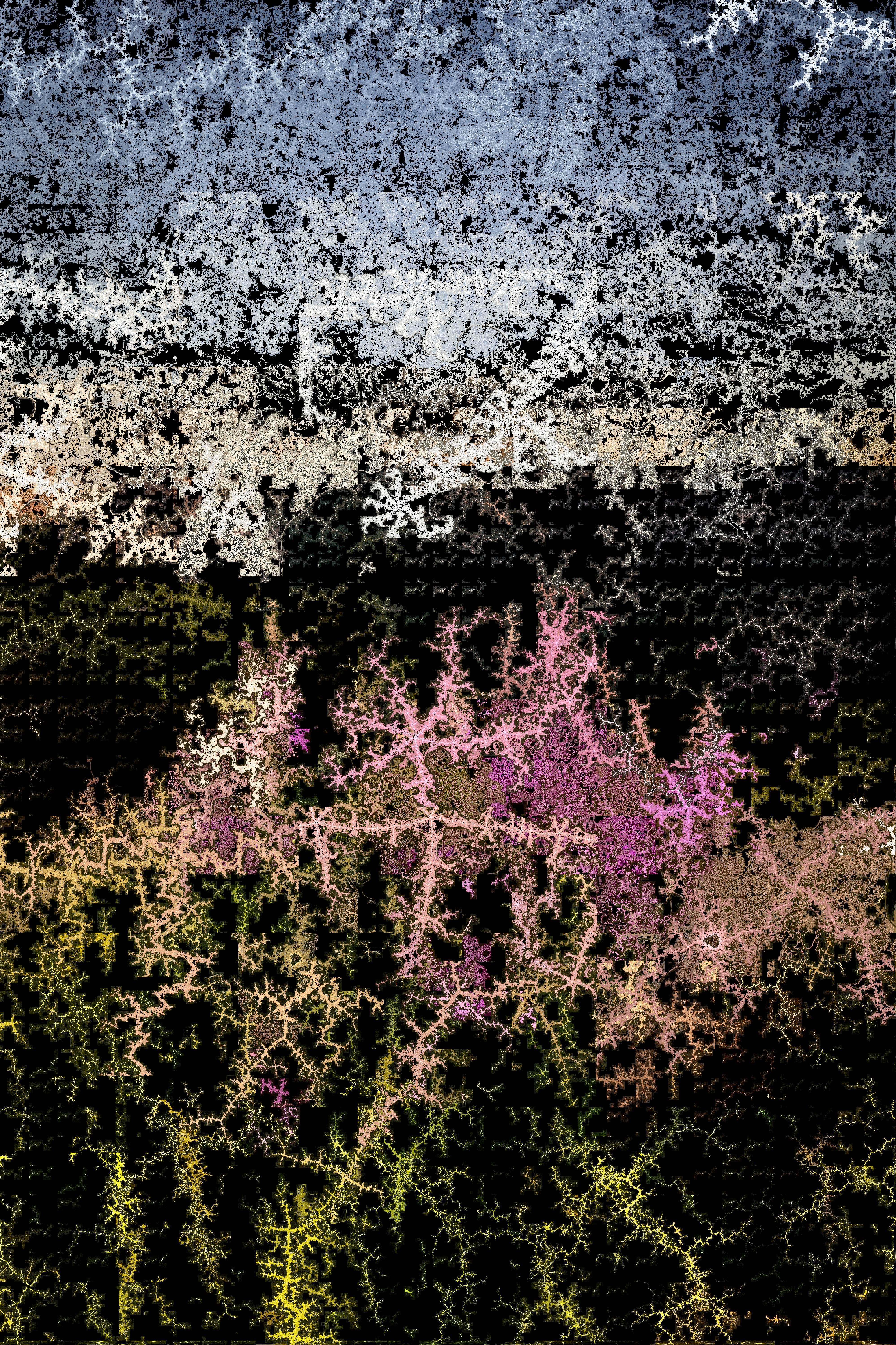 Geometry in Bloom [OC] | Scrolller