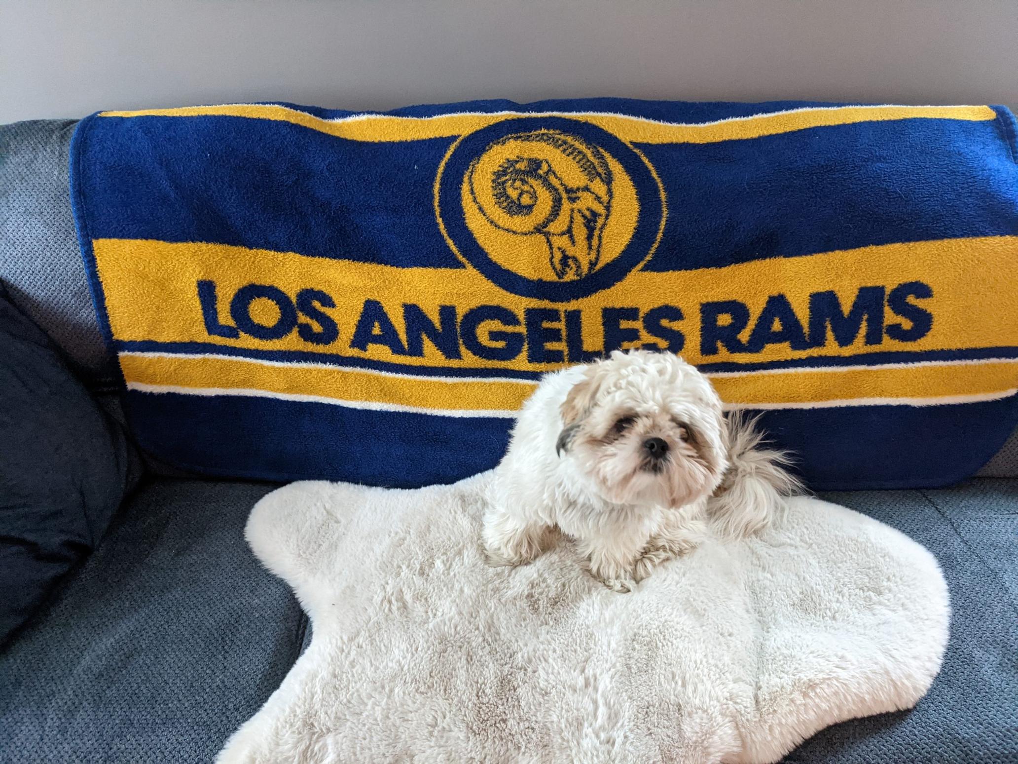 Getting ready for the game with my Dad's old school Rams blanket. | Scrolller