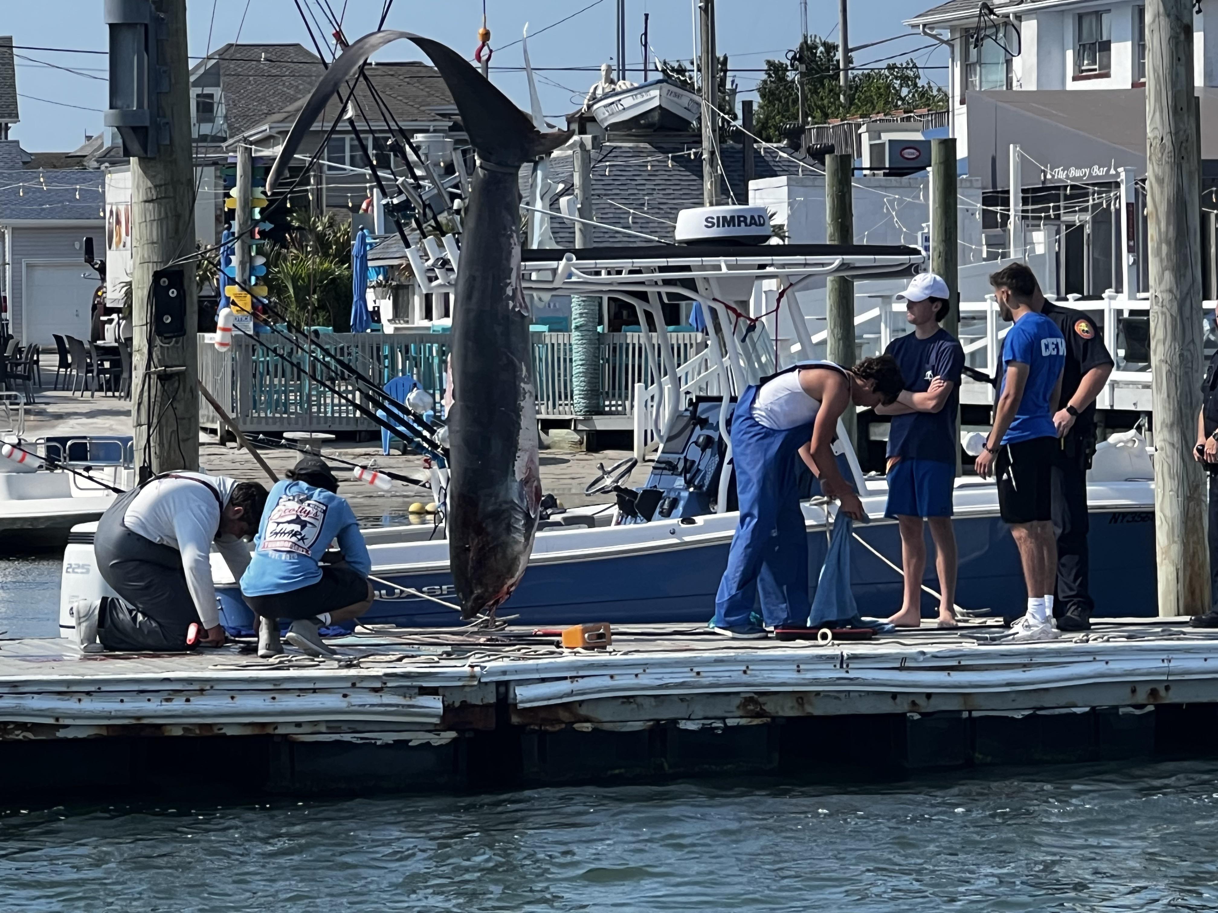New NY State Thresher Record | Scrolller