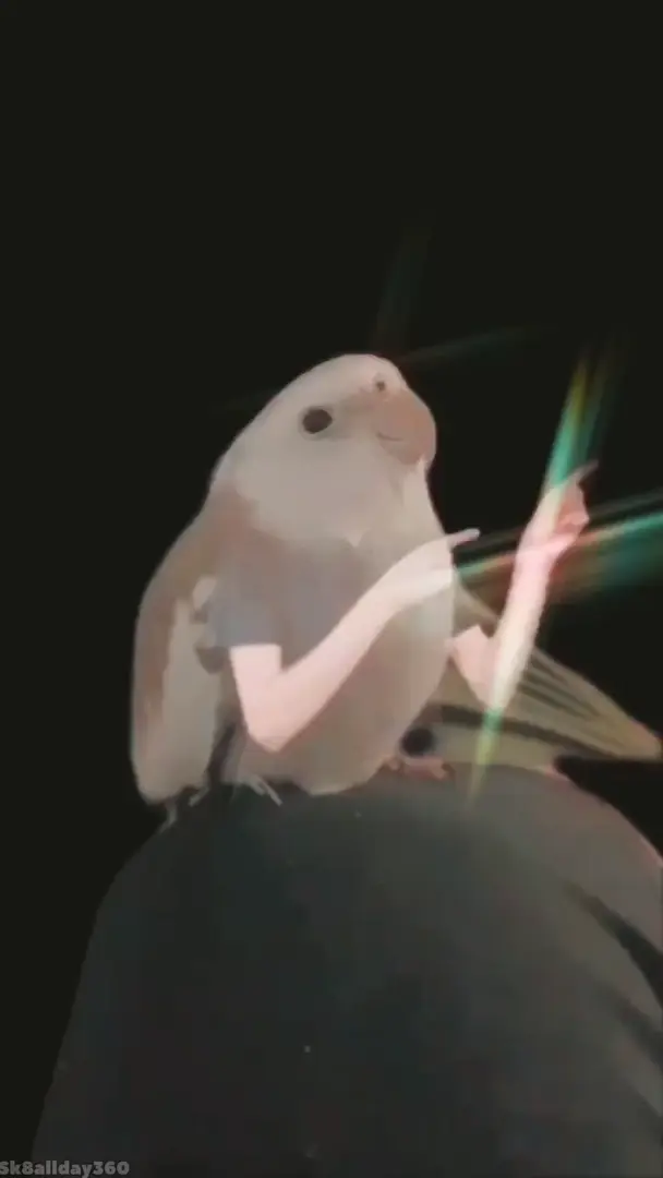 Gift from the Gods | Scrolller