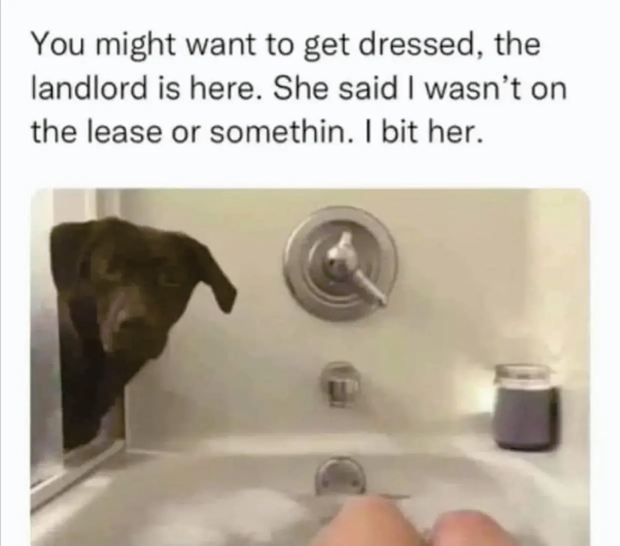 Unexpected surprise | Scrolller