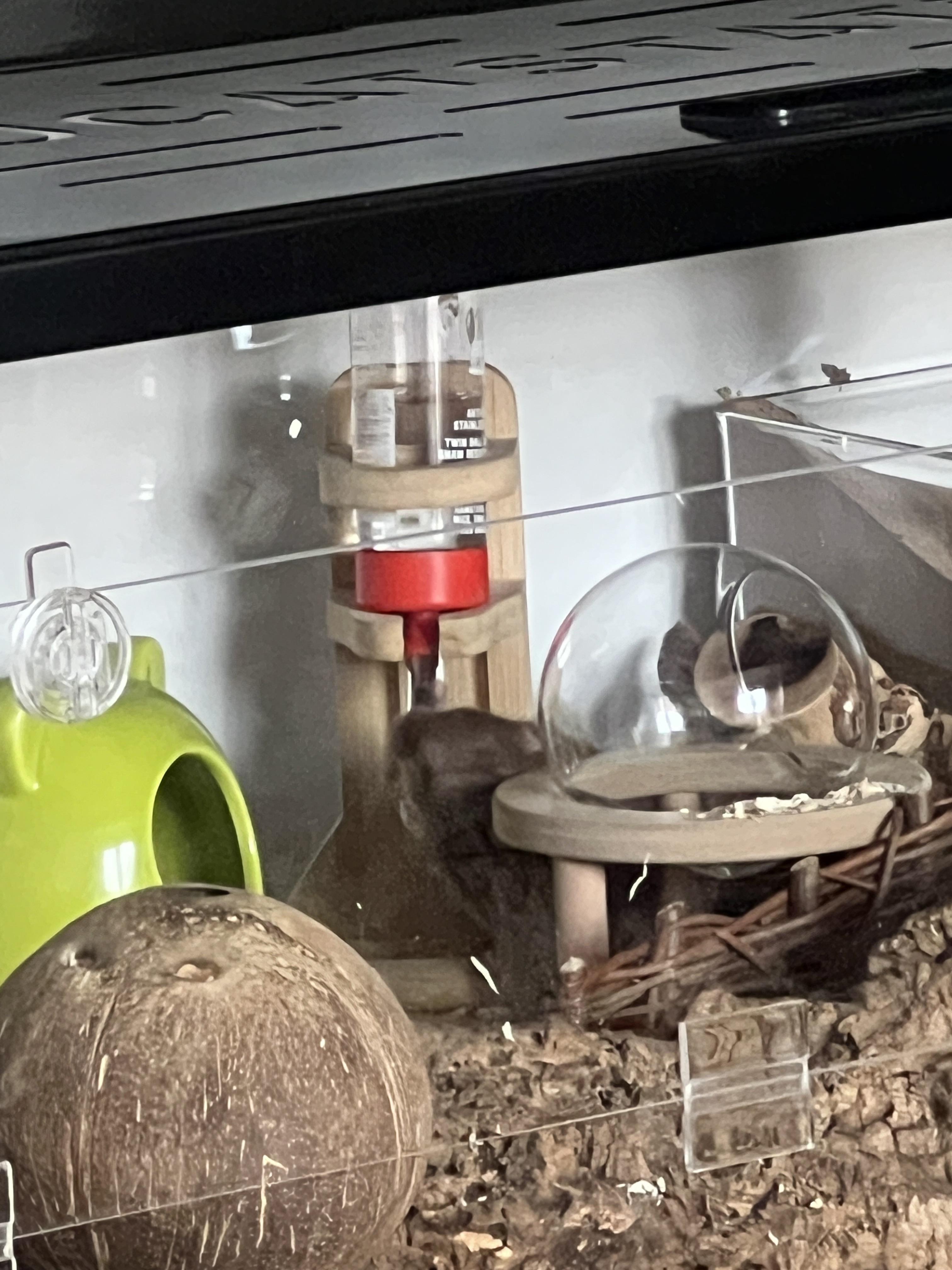 Upgraded to the Bucastate cages and got a stacking kit. I LOVE! | Scrolller