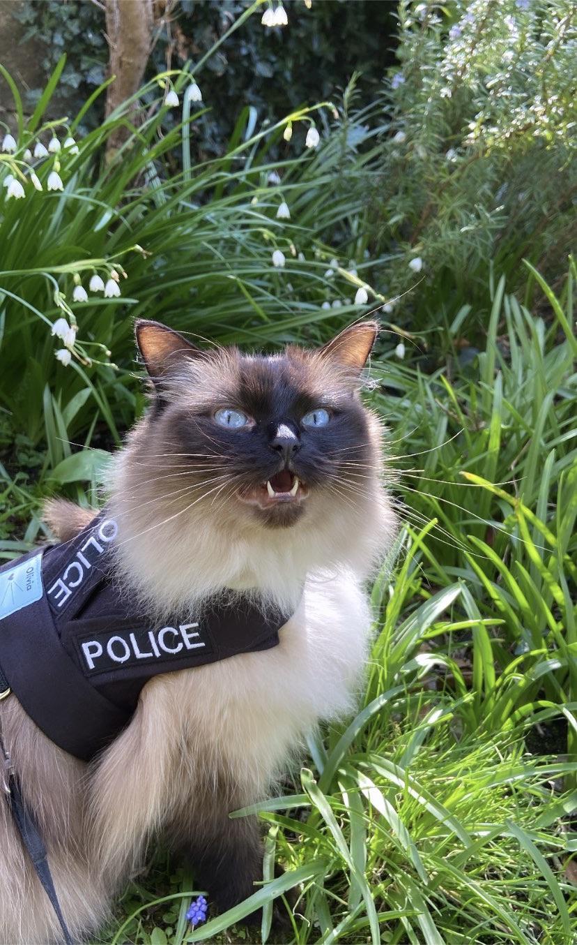 Clementine spam 🩵 | Scrolller