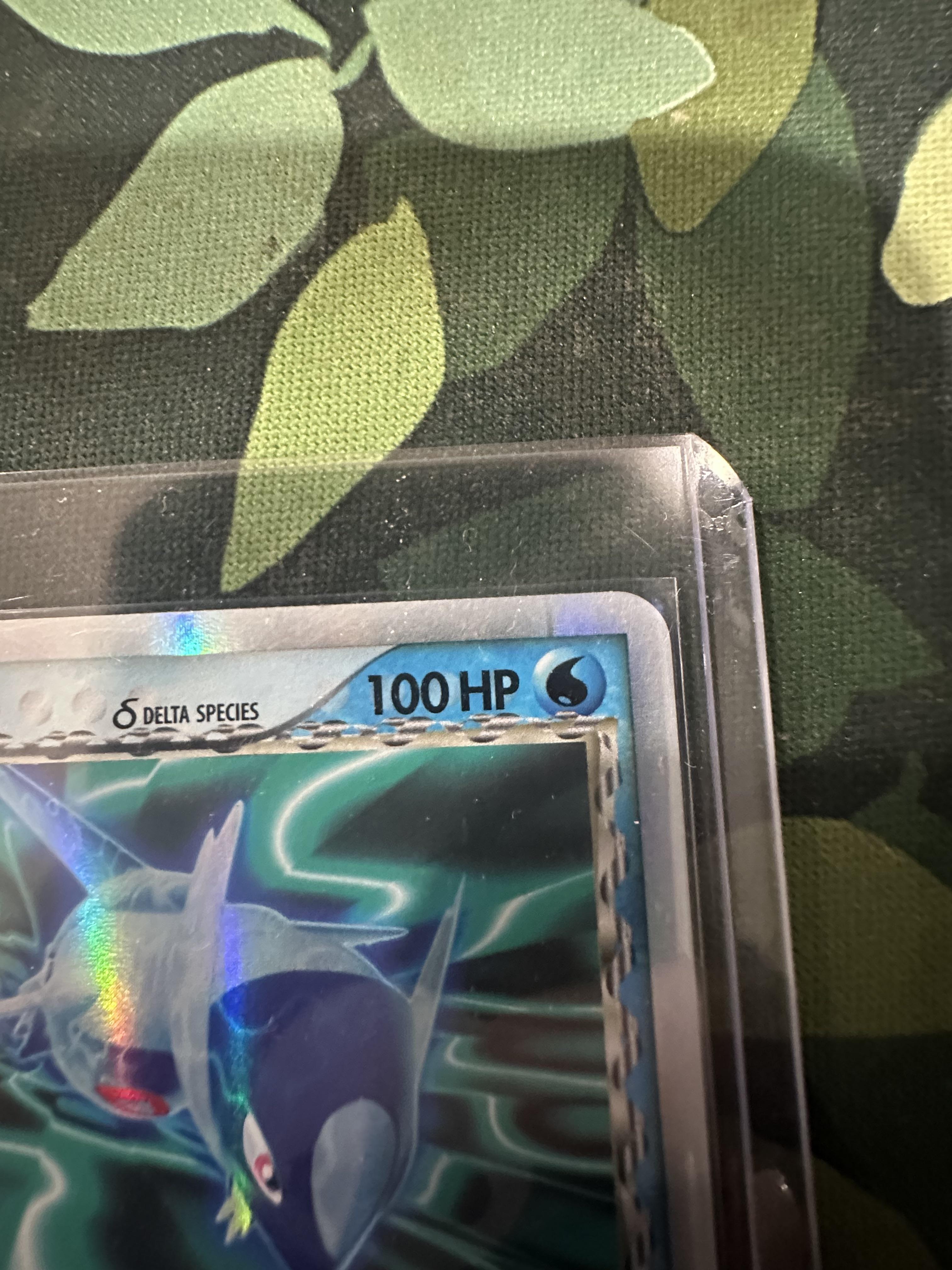 Is this a misprint | Scrolller