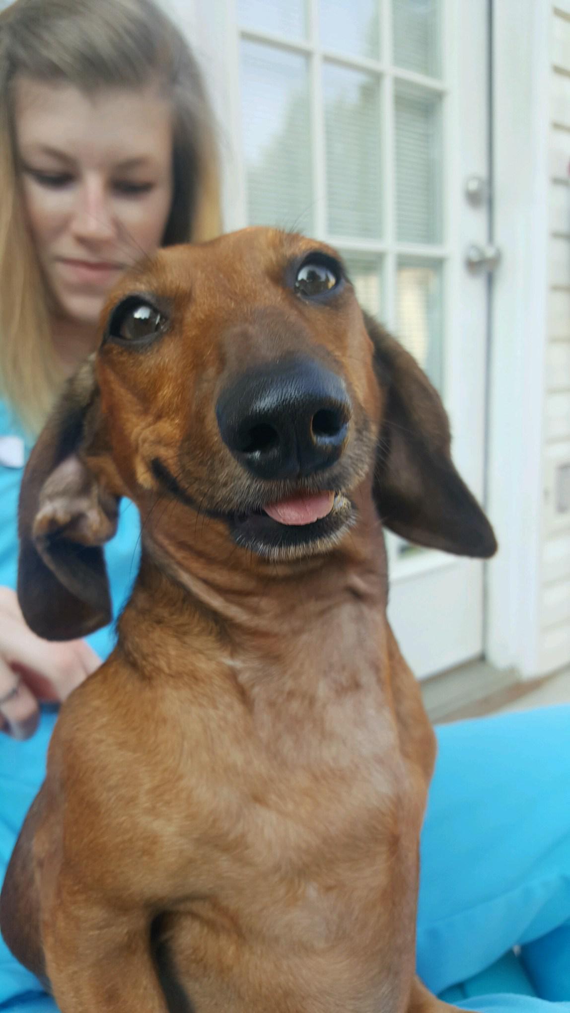 Gooby-girl | Scrolller