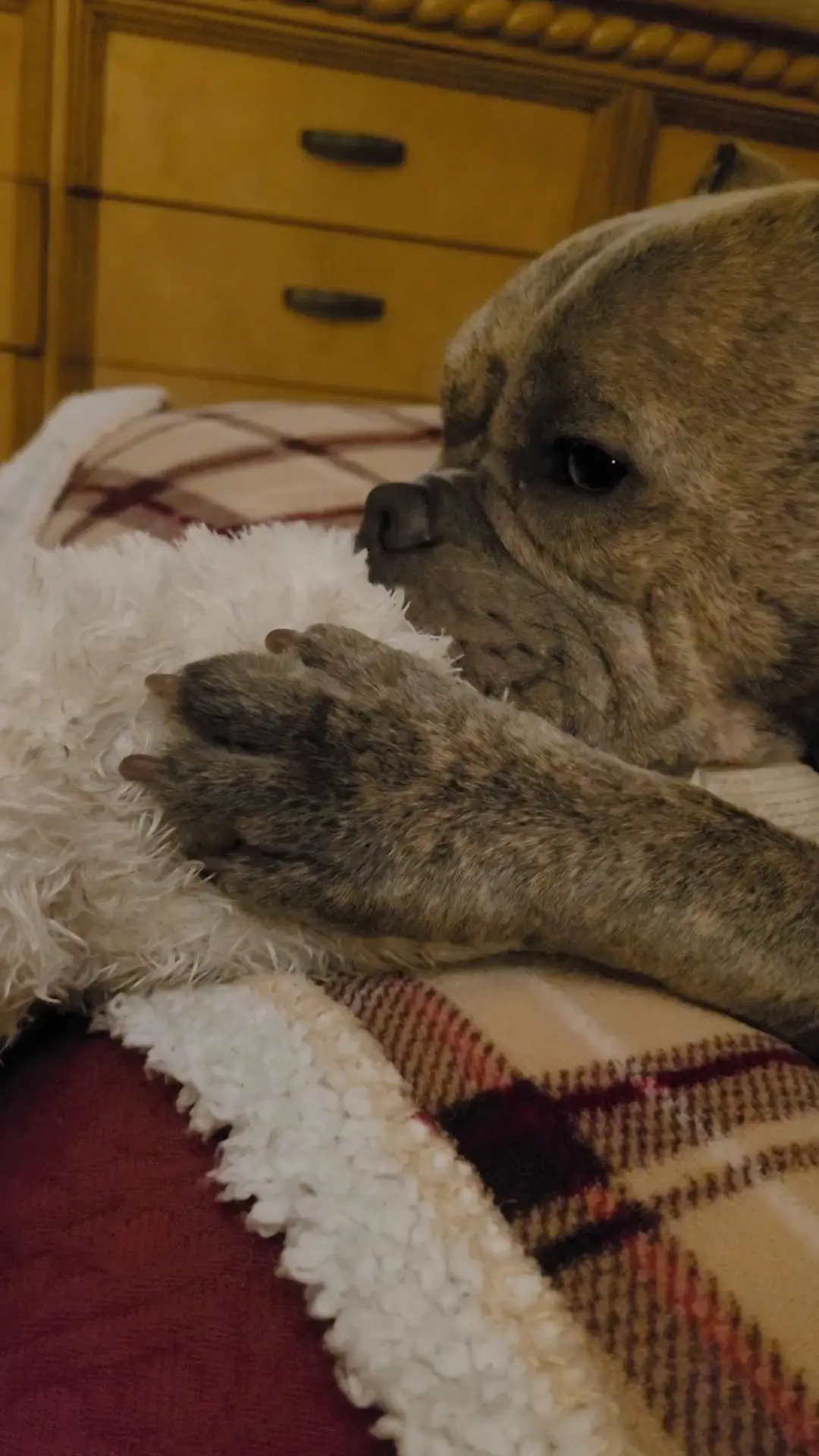 Goodnight all | Scrolller