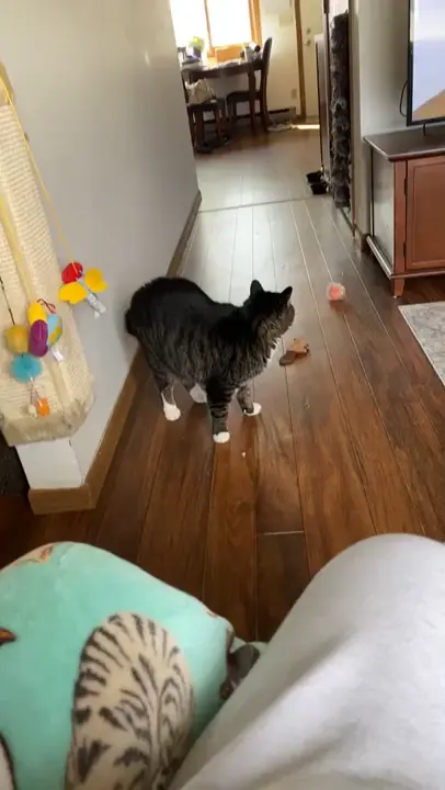 Goofy boy | Scrolller